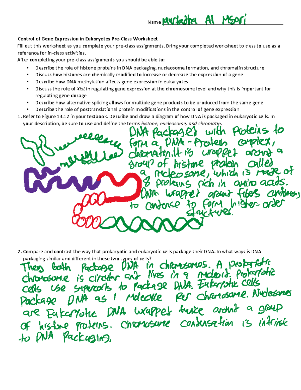 Week 7b Eukaryotic Gene Expression Reading Guide - Name - Studocu