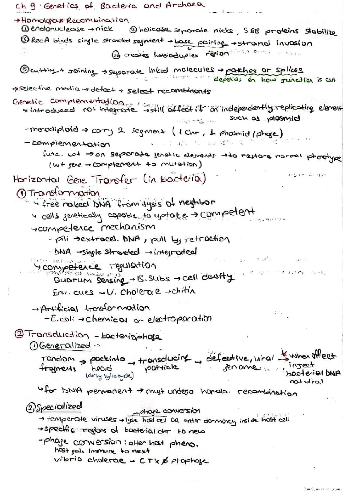 Genetics of Bacteria and Archaea: Chapter 9 Overview - Studocu