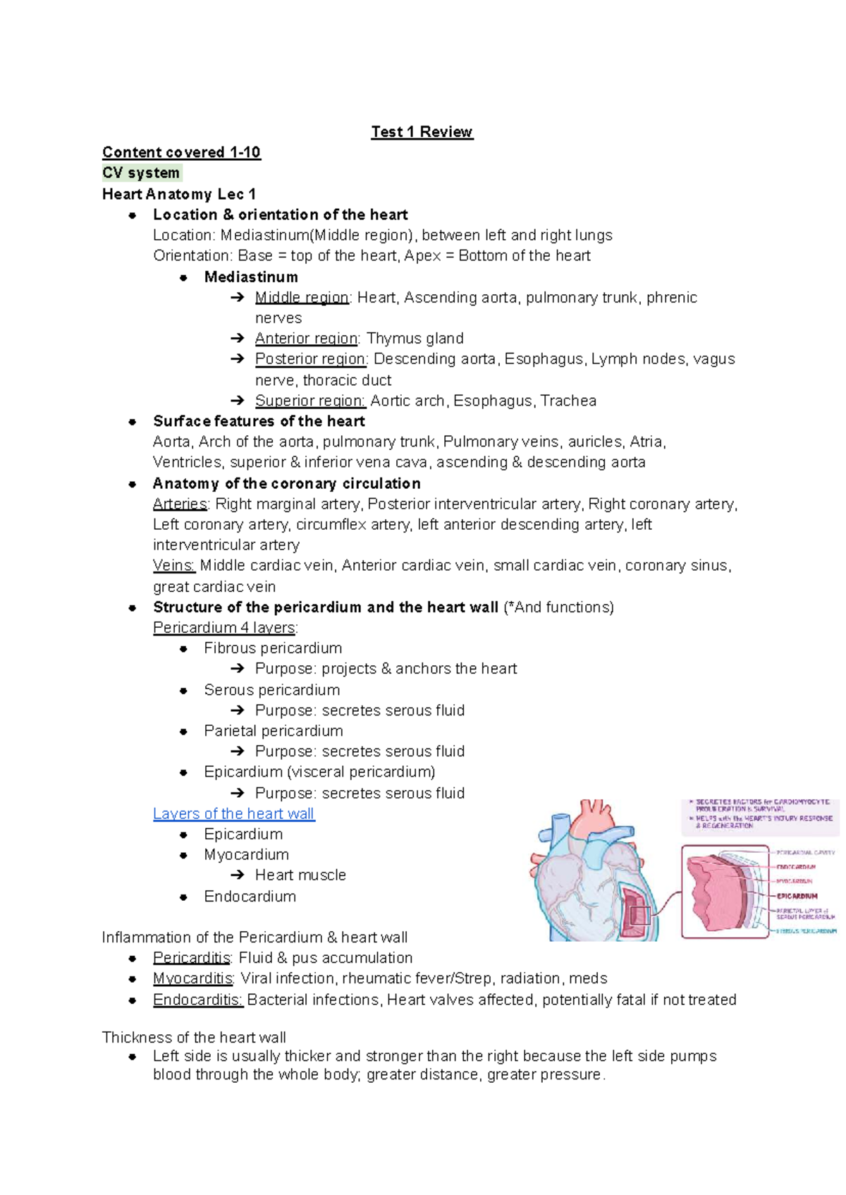 Test 1 Review: Cardiovascular System Anatomy & Physiology Overview ...
