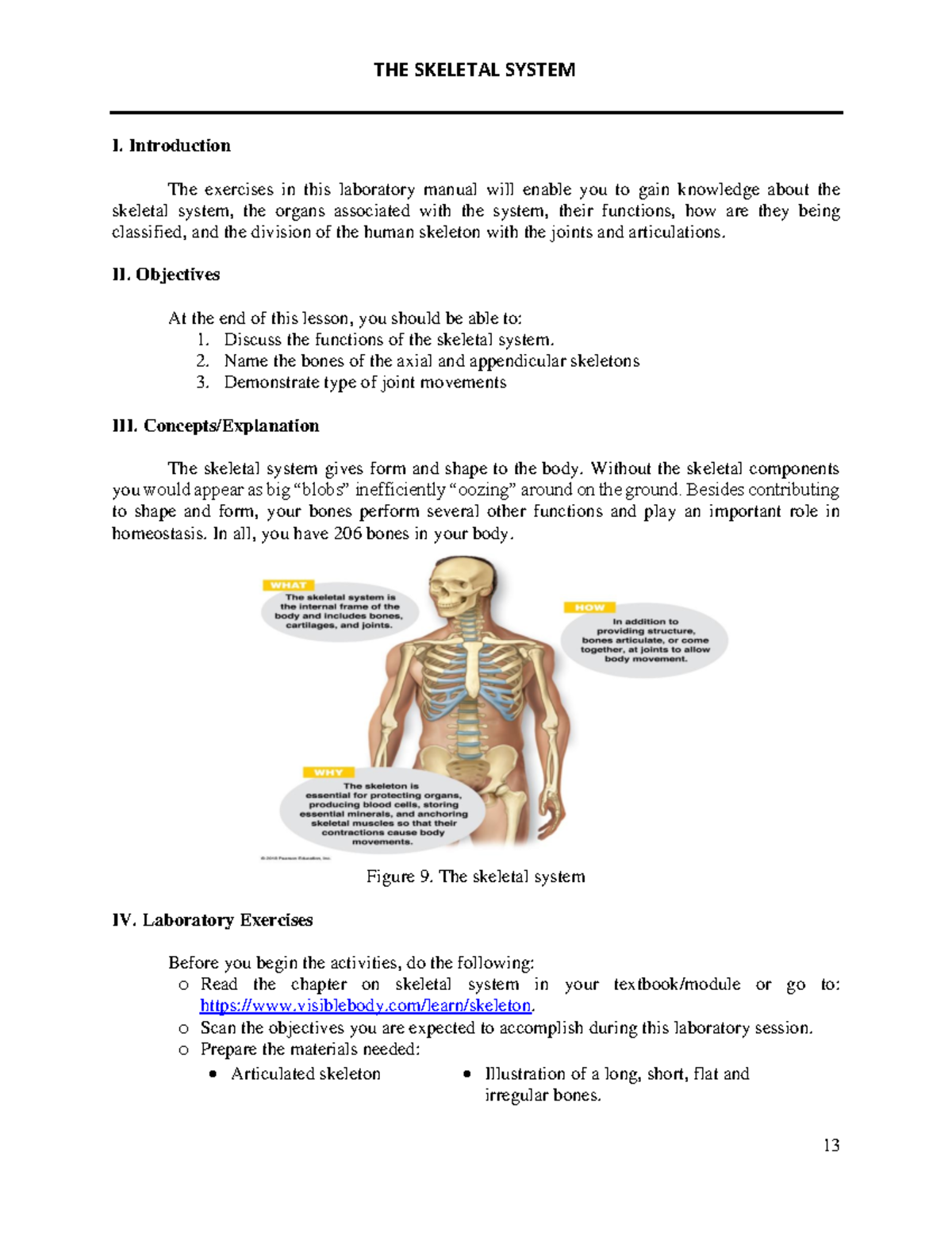 Skeletal System Lab Manual: Axial & Appendicular Bones and Joints - Studocu