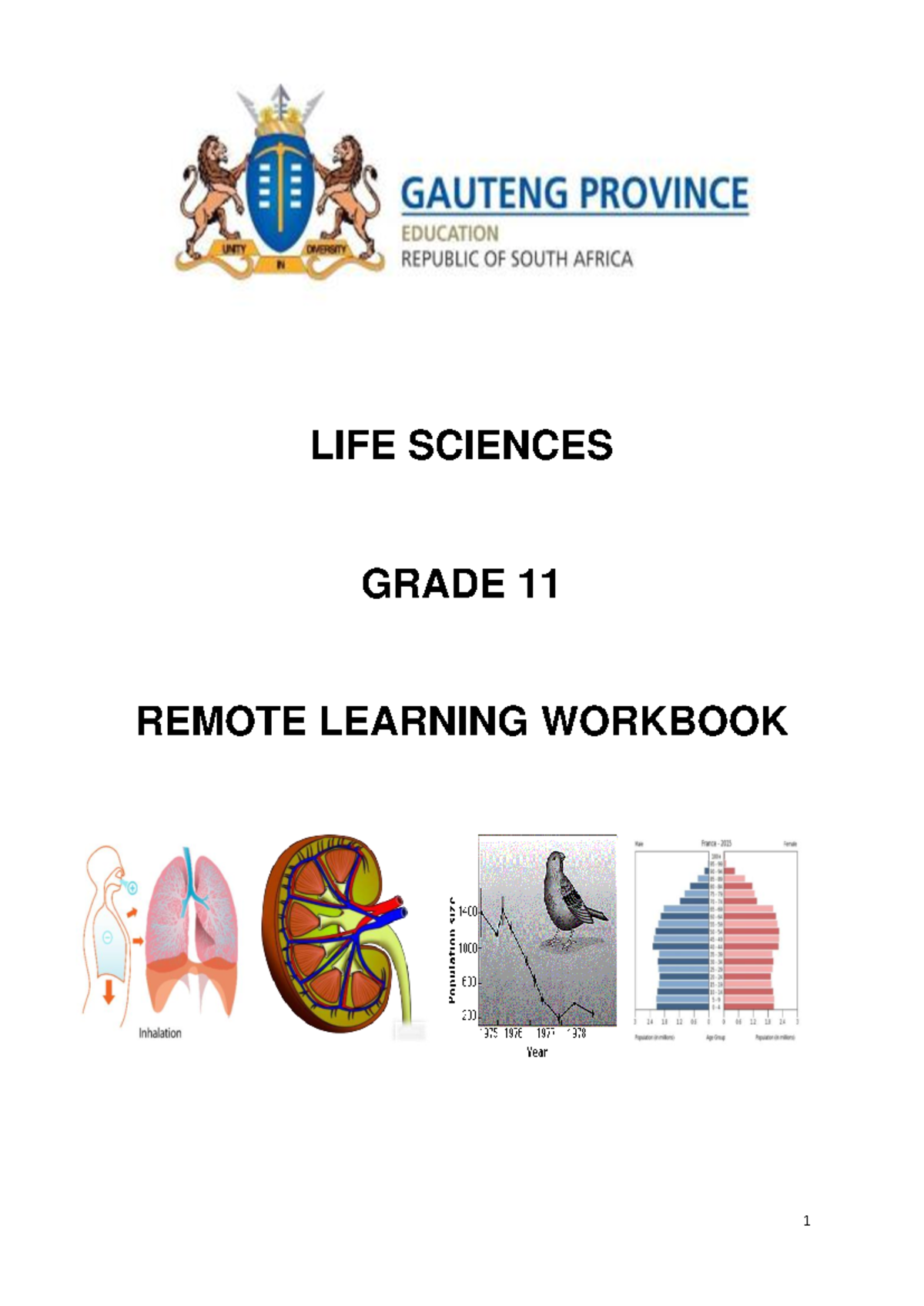 Grade 11 Life Sciences Remote Learning Workbook: Term 3 Gaseous ...