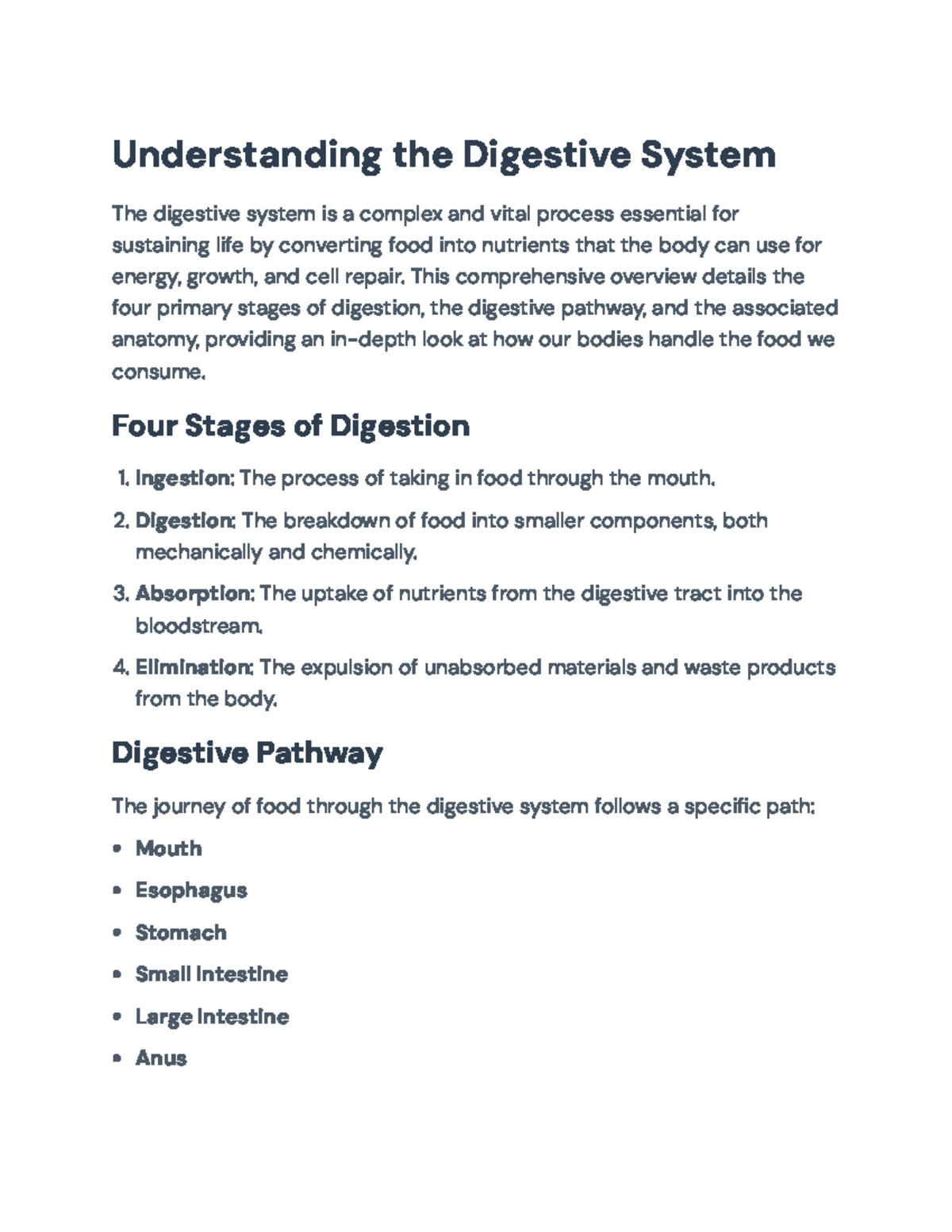 Understanding the Digestive System: Stages, Pathway, and Functions ...