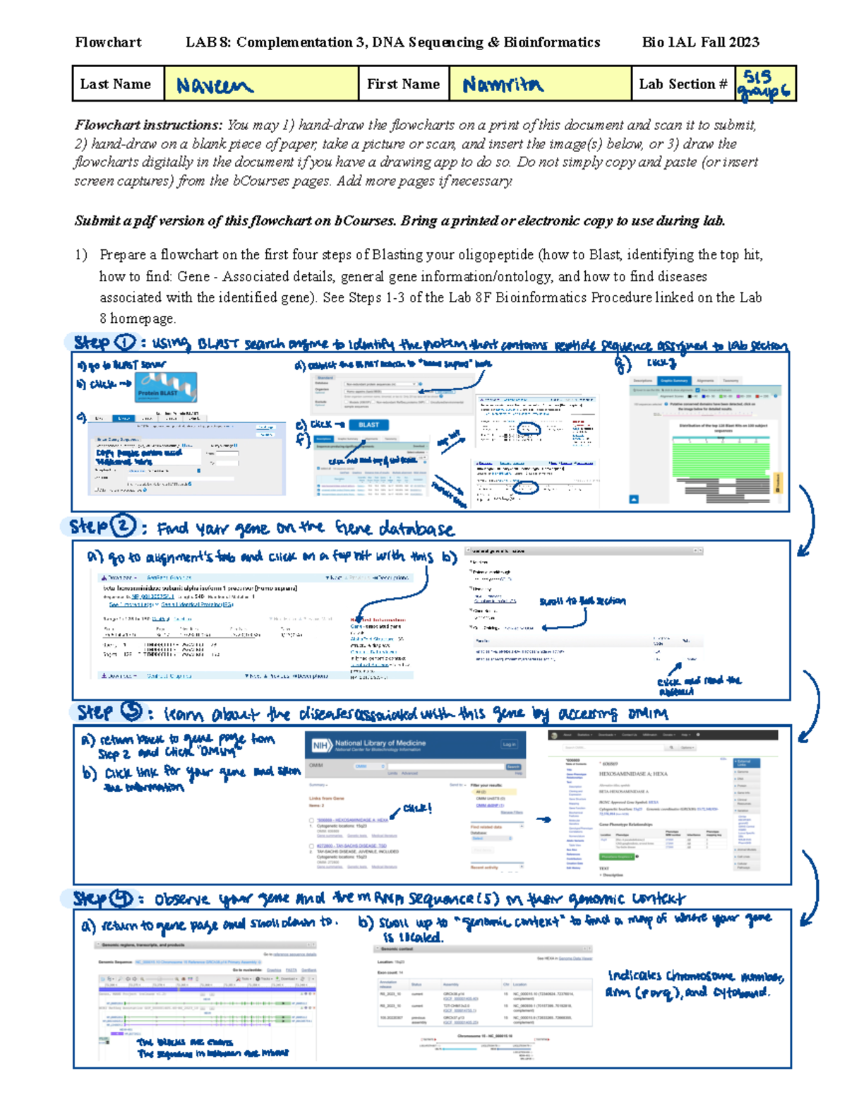Flowchart Lab 8: DNA Sequencing & Bioinformatics Instructions - Bio 1 ...