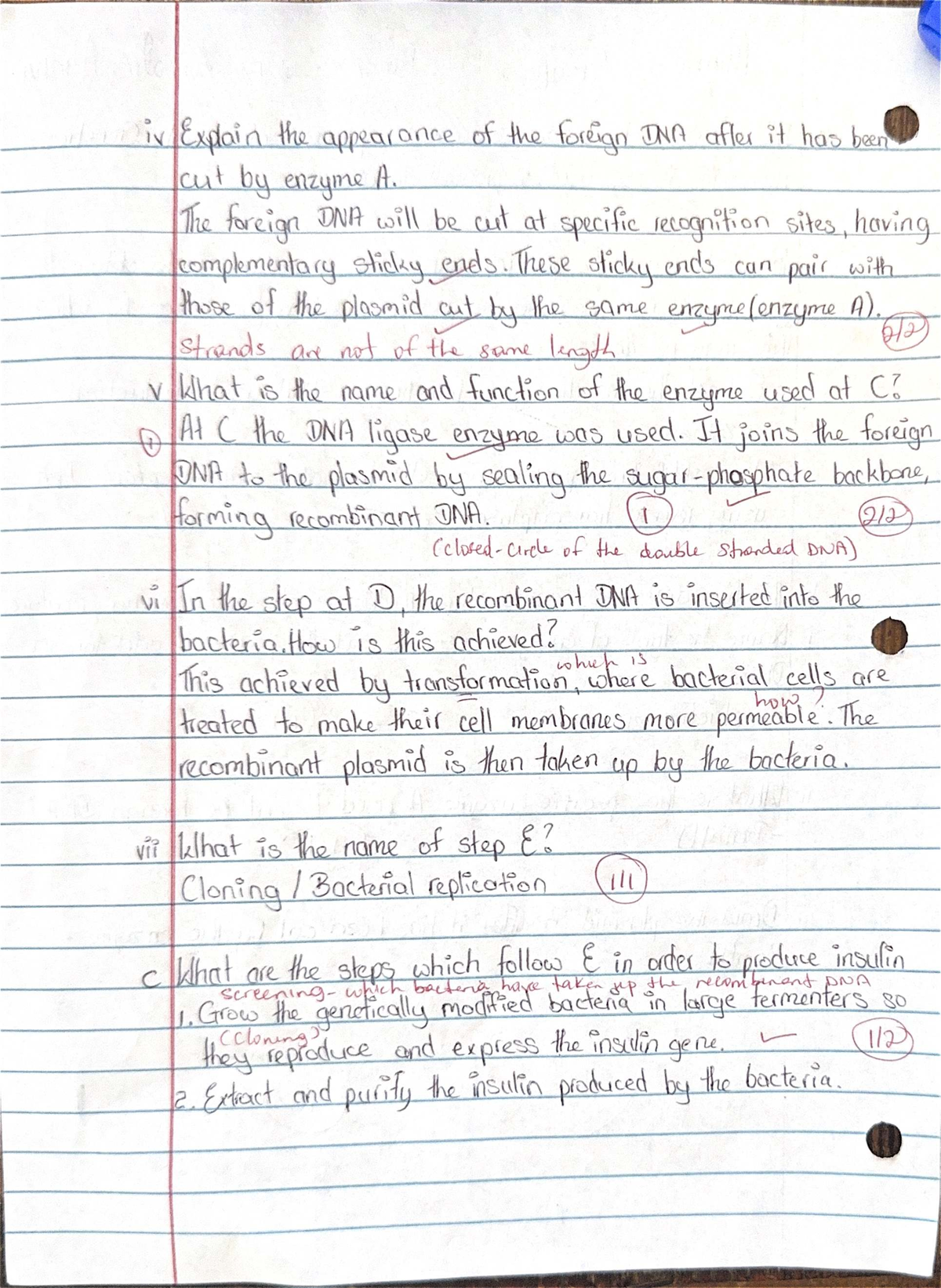 Bio Worksheet: Notes on Genetic Engineering & Recombinant DNA - Studocu