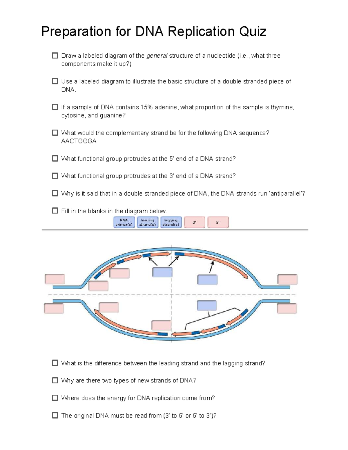 DNA Replication Quiz Prep: Structure, Proportions & Functions - Studocu