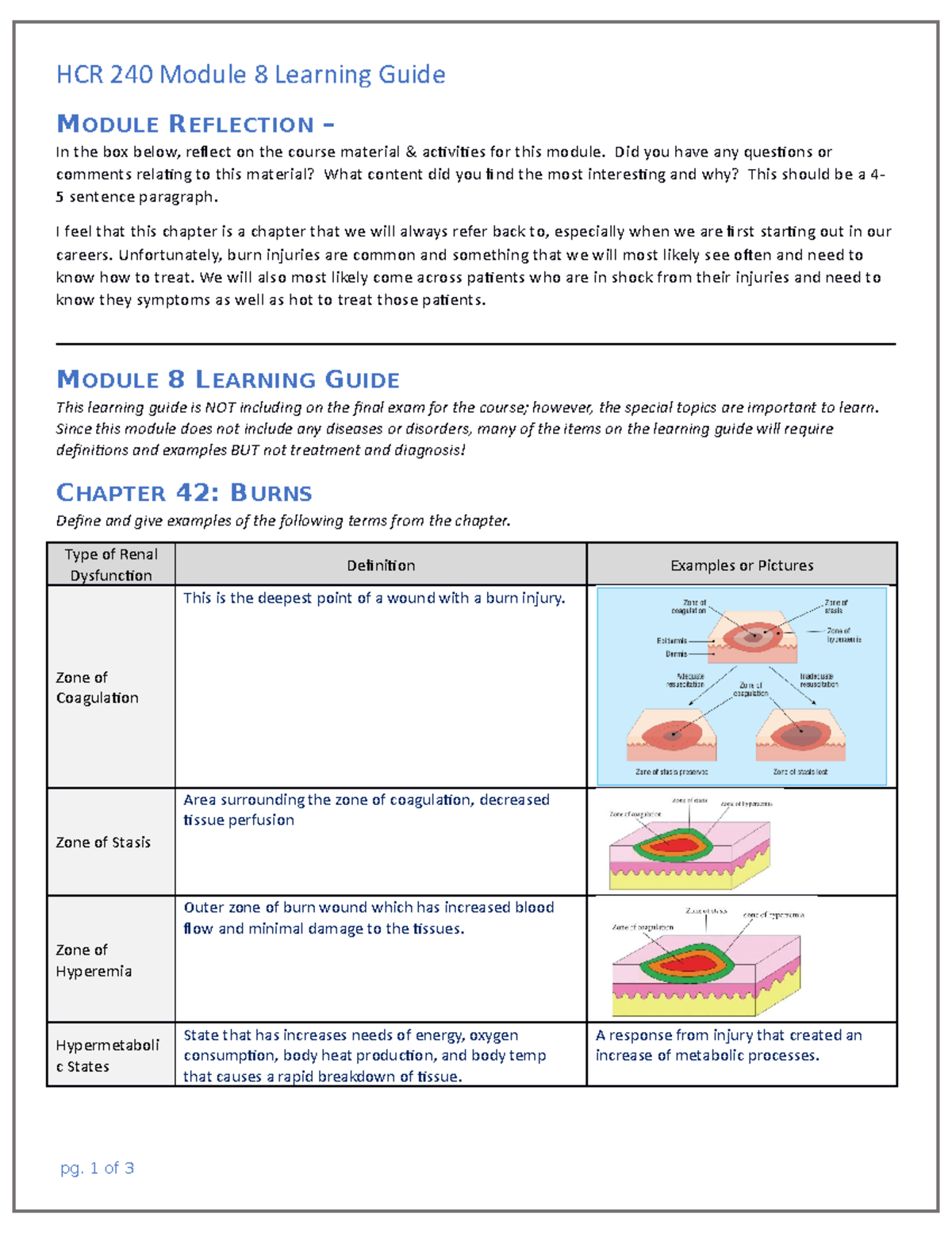 Module 8 Learning Guide: Reflections on Burns & Aging Impacts - Studocu