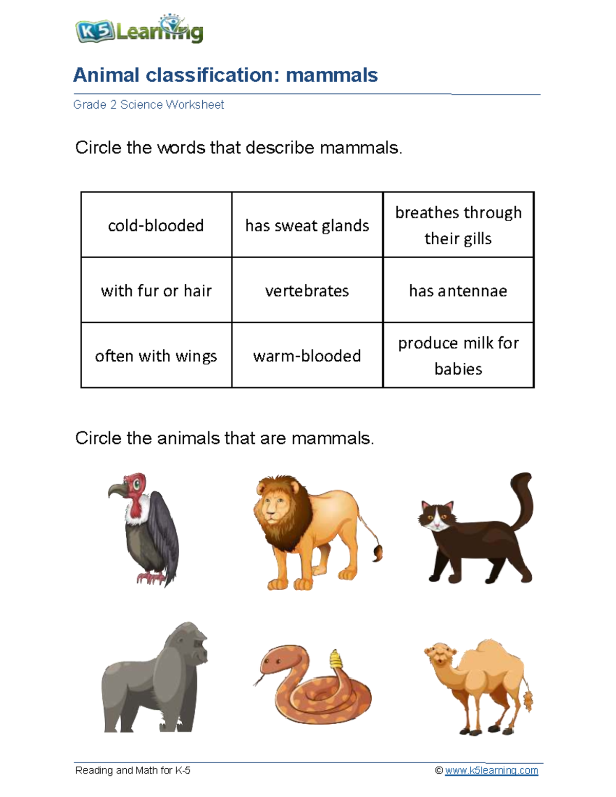 Grade 2 animal classification a - 1651 - Reading and Math for K- 5 ...