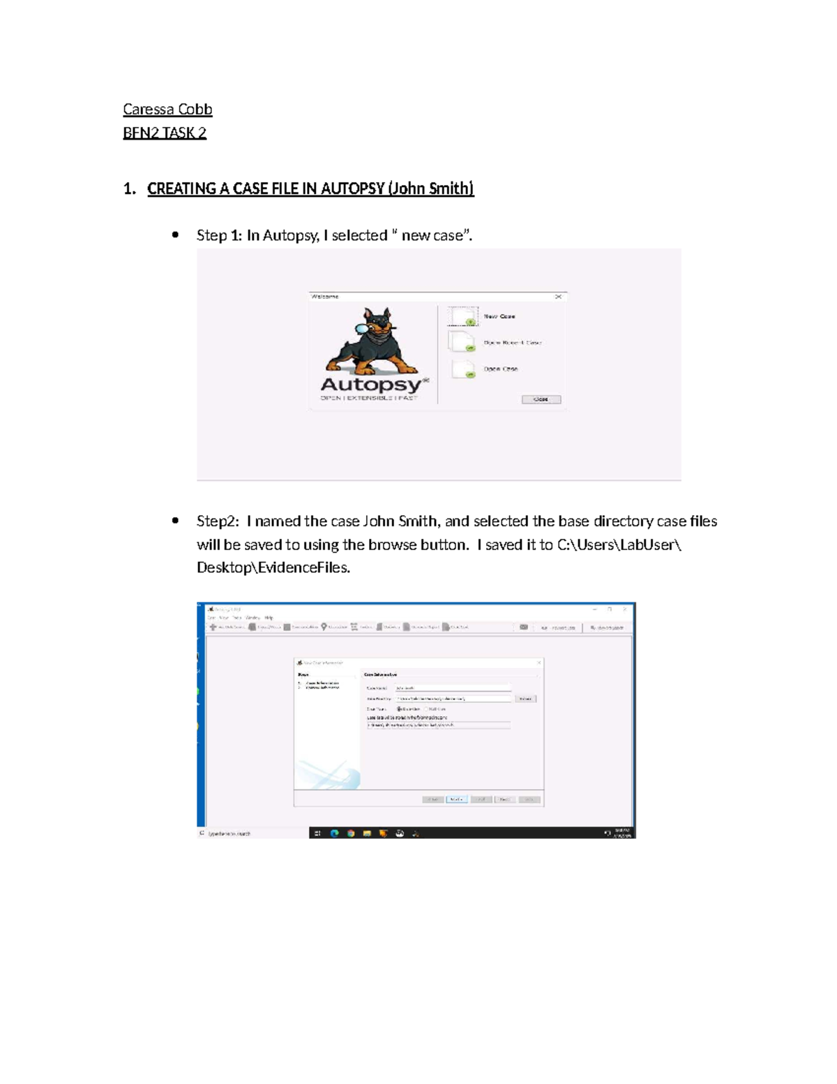 BFN2 TASK 2: Creating a Case File & Evidence Examination in Autopsy ...