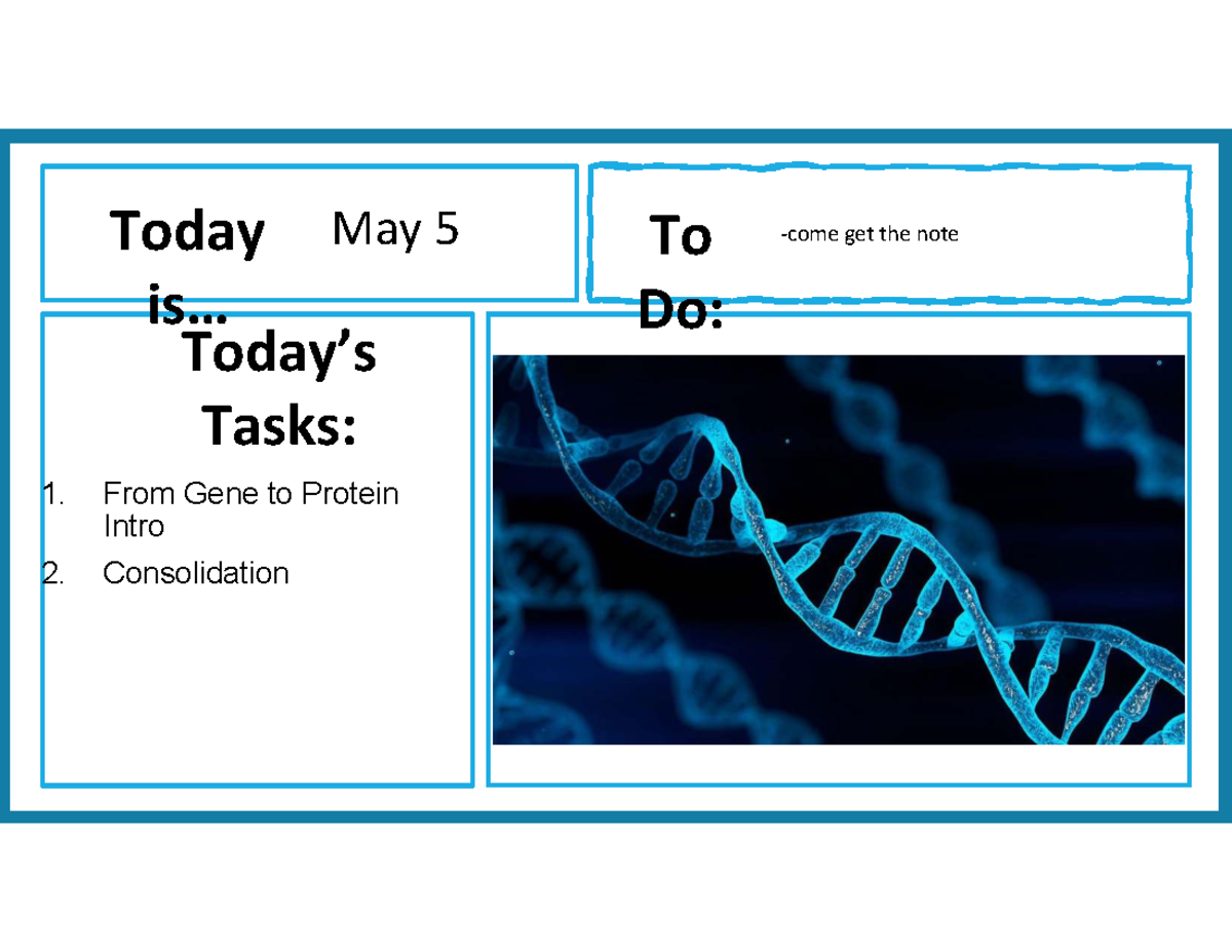 BIO101 Lecture Notes: From Gene to Protein Overview and Tasks - Studocu