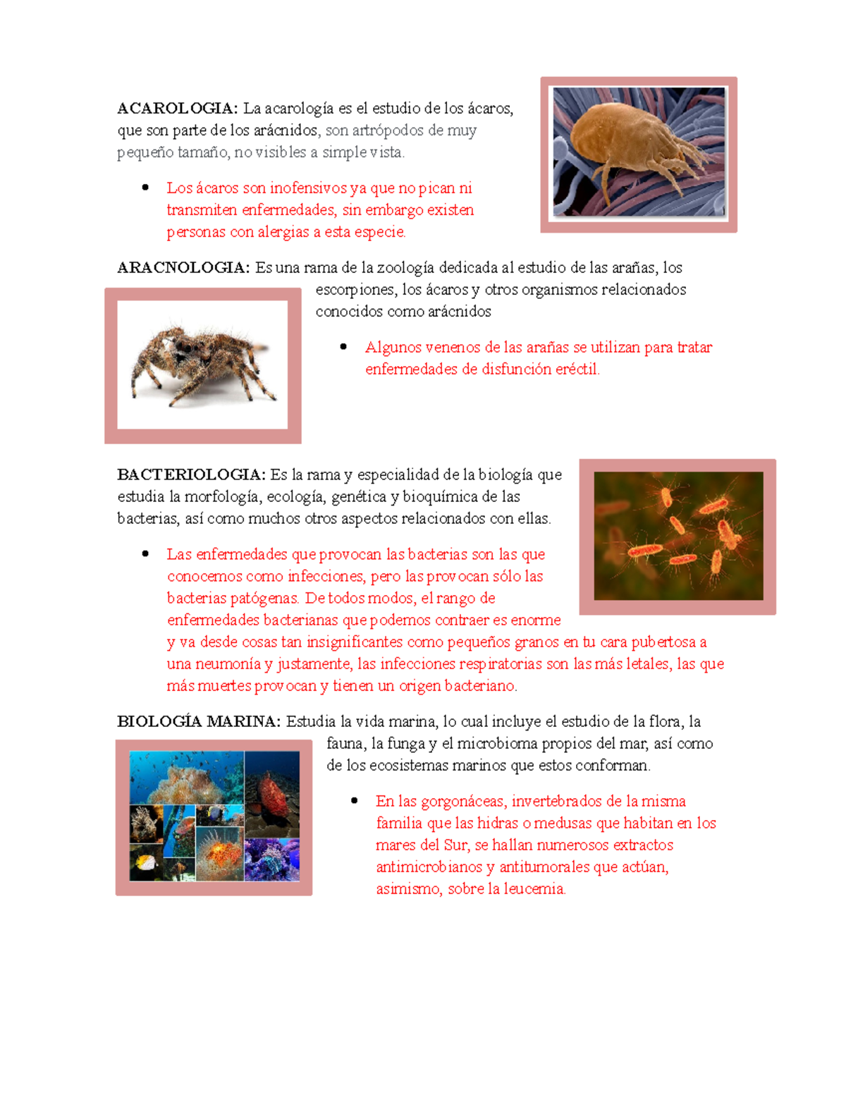 Acarología: Información Esencial sobre Ácaros y Estudio Relacionado ...
