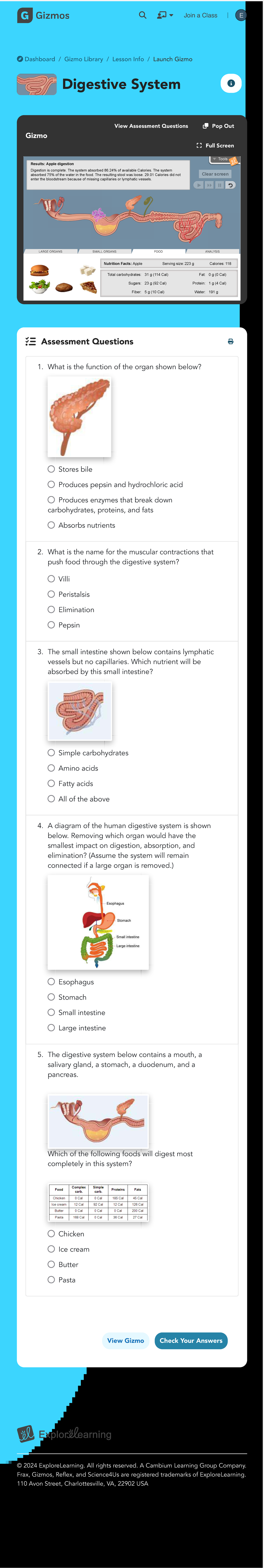 Digestive System Gizmo Lesson: Assessment & Analysis of Apple Digestion ...