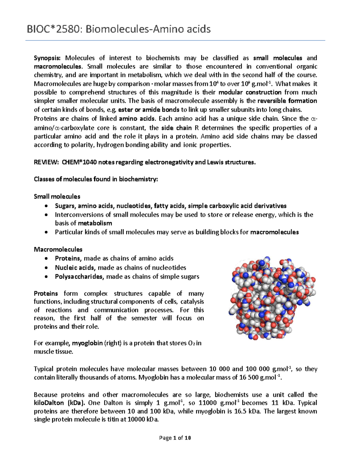 Biomolecules and Amino Acids: A Biochemistry Overview - Studocu