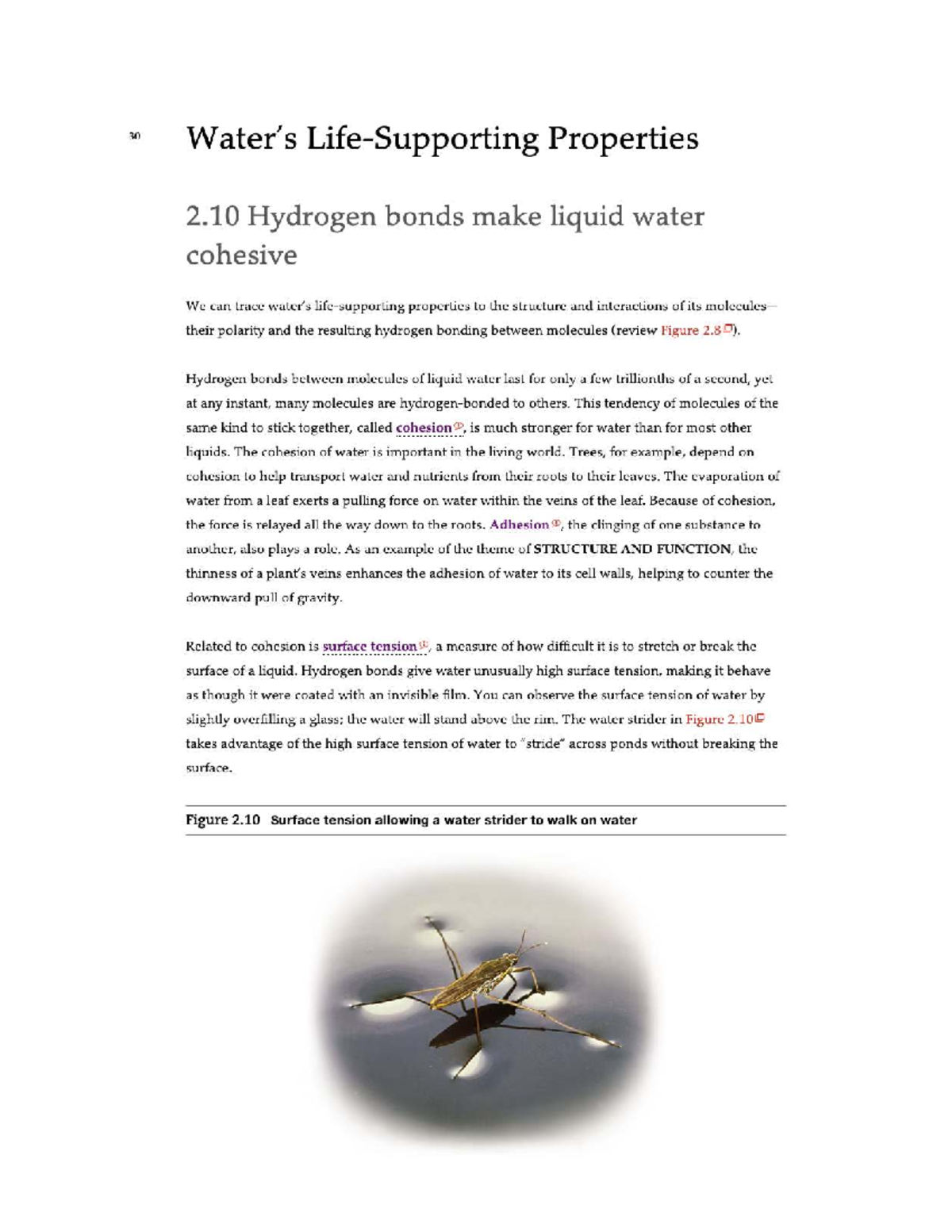Properties of Water: Cohesion, Temperature Moderation, and Solvent Role ...