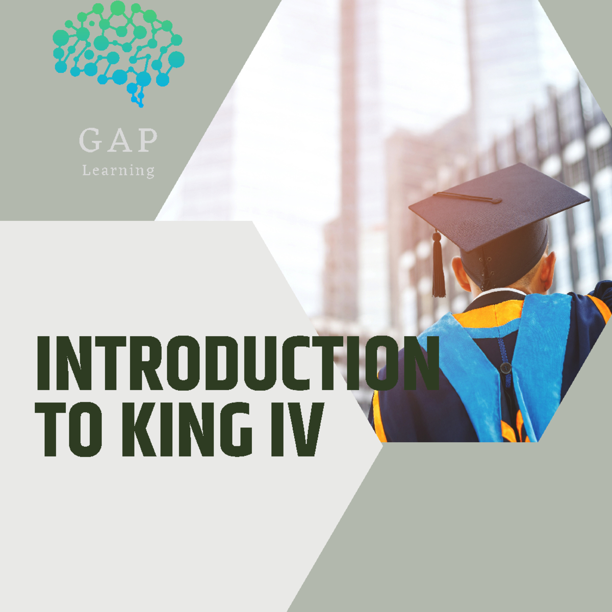 Introduction to King IV 1 - INTRODUCTION TO KING IV G A P L e a r n i n ...