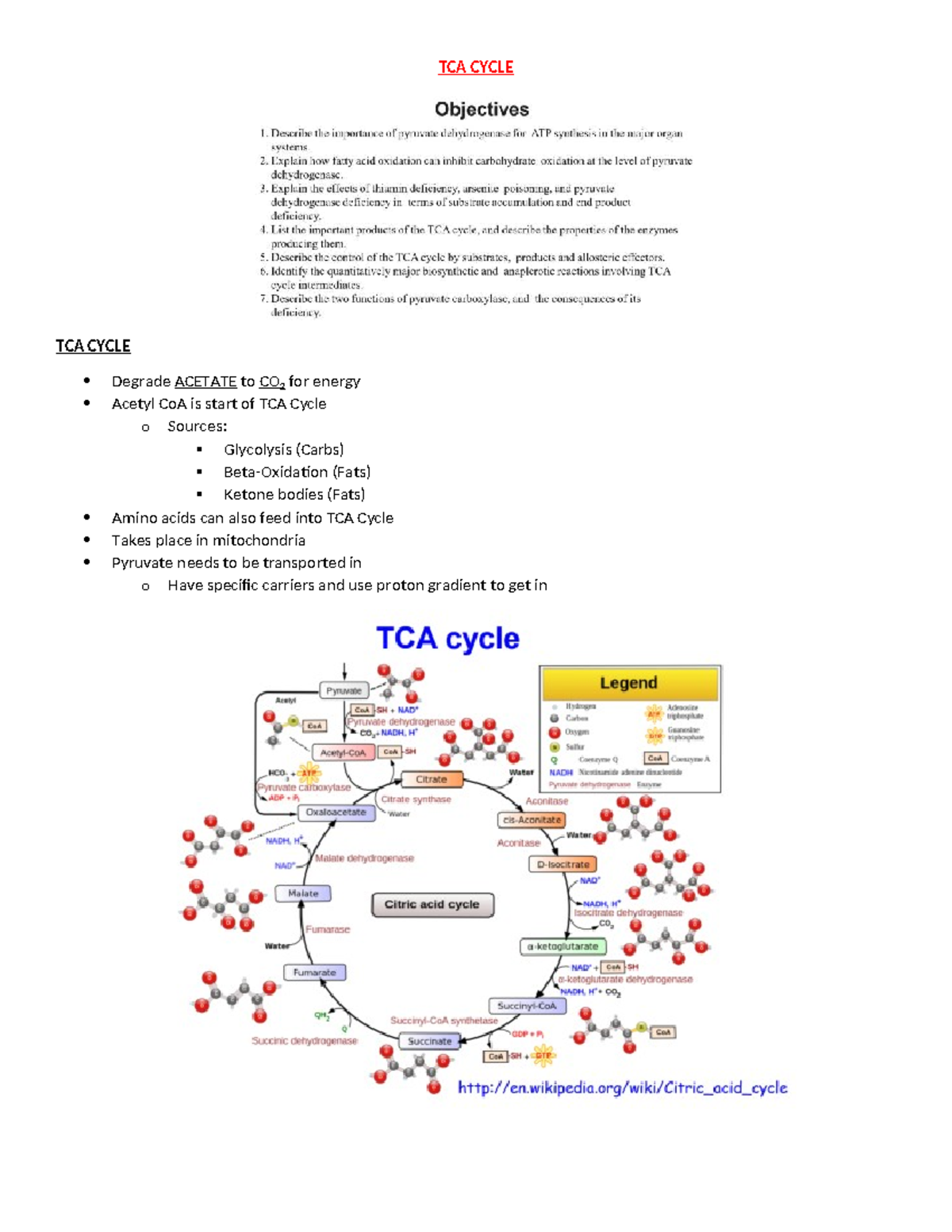TCA Cycle Study Guide - Key Concepts and Regulatory Mechanisms (Fundie2 ...