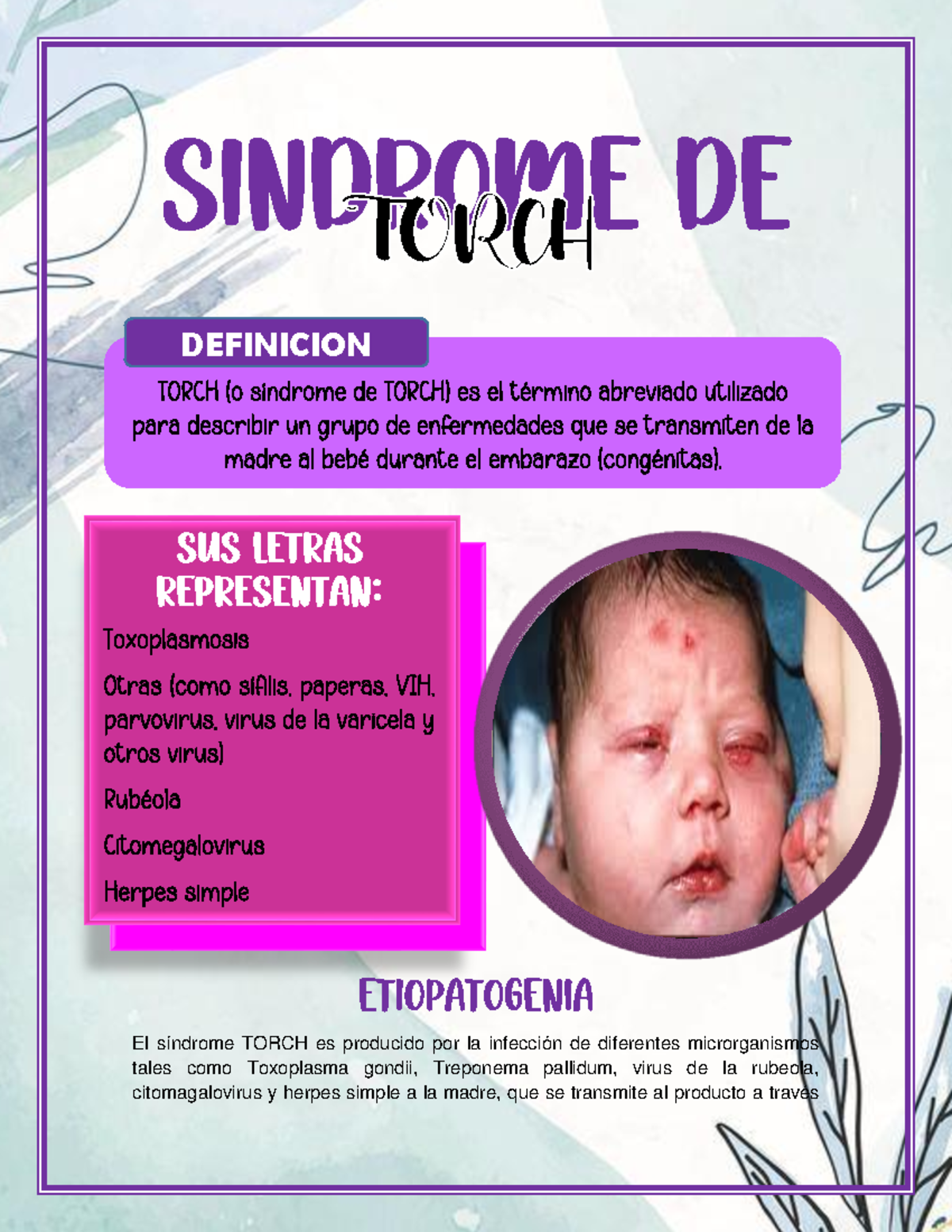 Síndrome TORCH: Resumen y Manifestaciones Clínicas - Studocu