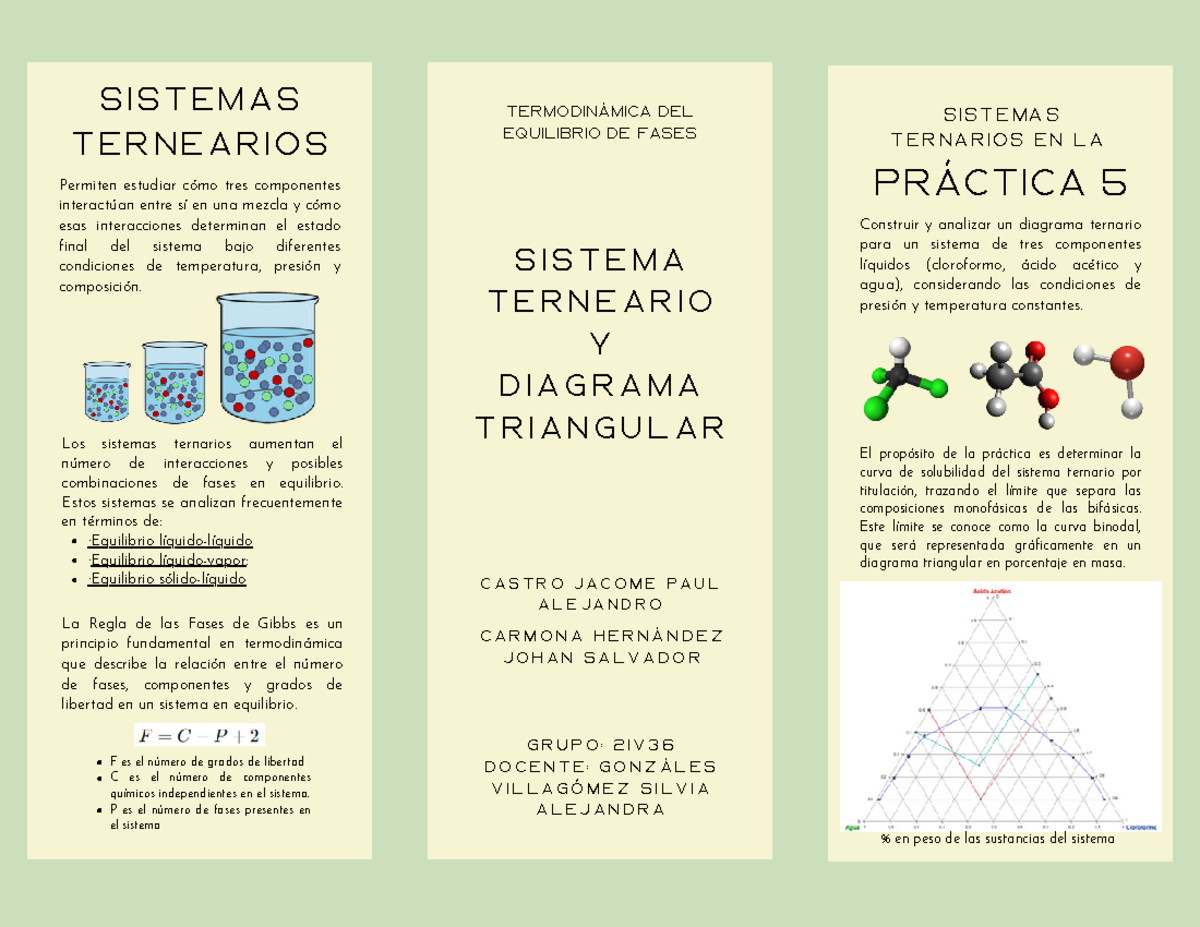Práctica 5: Diagrama Triangular y Sistemas Ternarios en Termodinámica ...