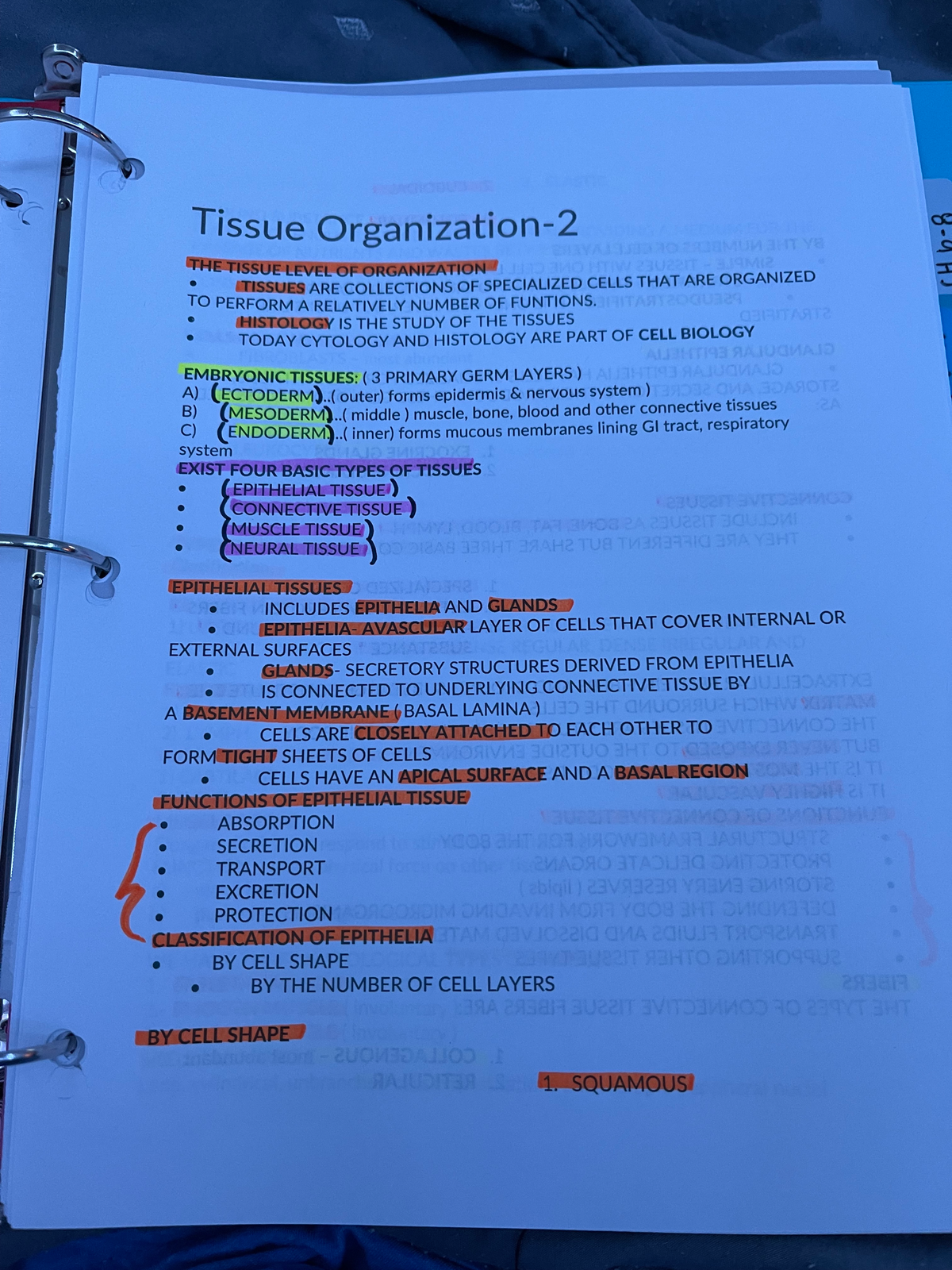 IMG 4853 - Tissue Level Organization and Histology Notes - Studocu