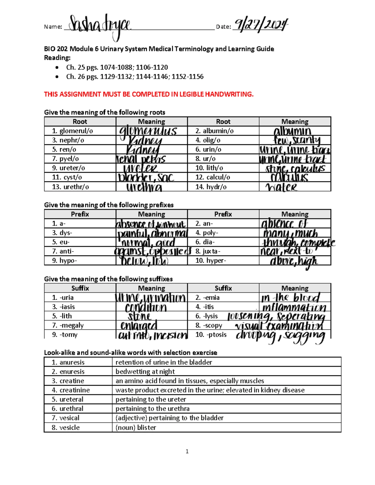 BIO 202 Module 6 Urinary System Medical Terminology Learning Guide ...