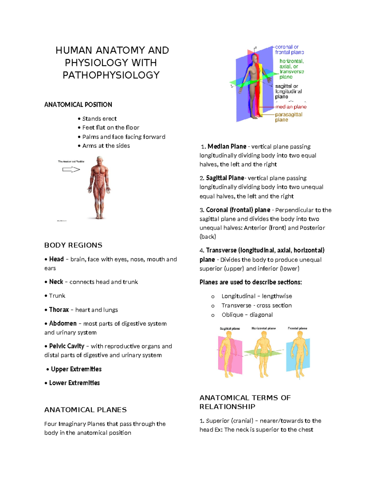 Anaphy Reviewer: Key Concepts in Human Anatomy and Physiology - Studocu