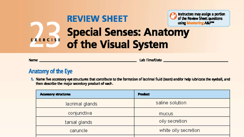 Anatomy Textbook Chapter 23: Eye Structure and Function - Studocu