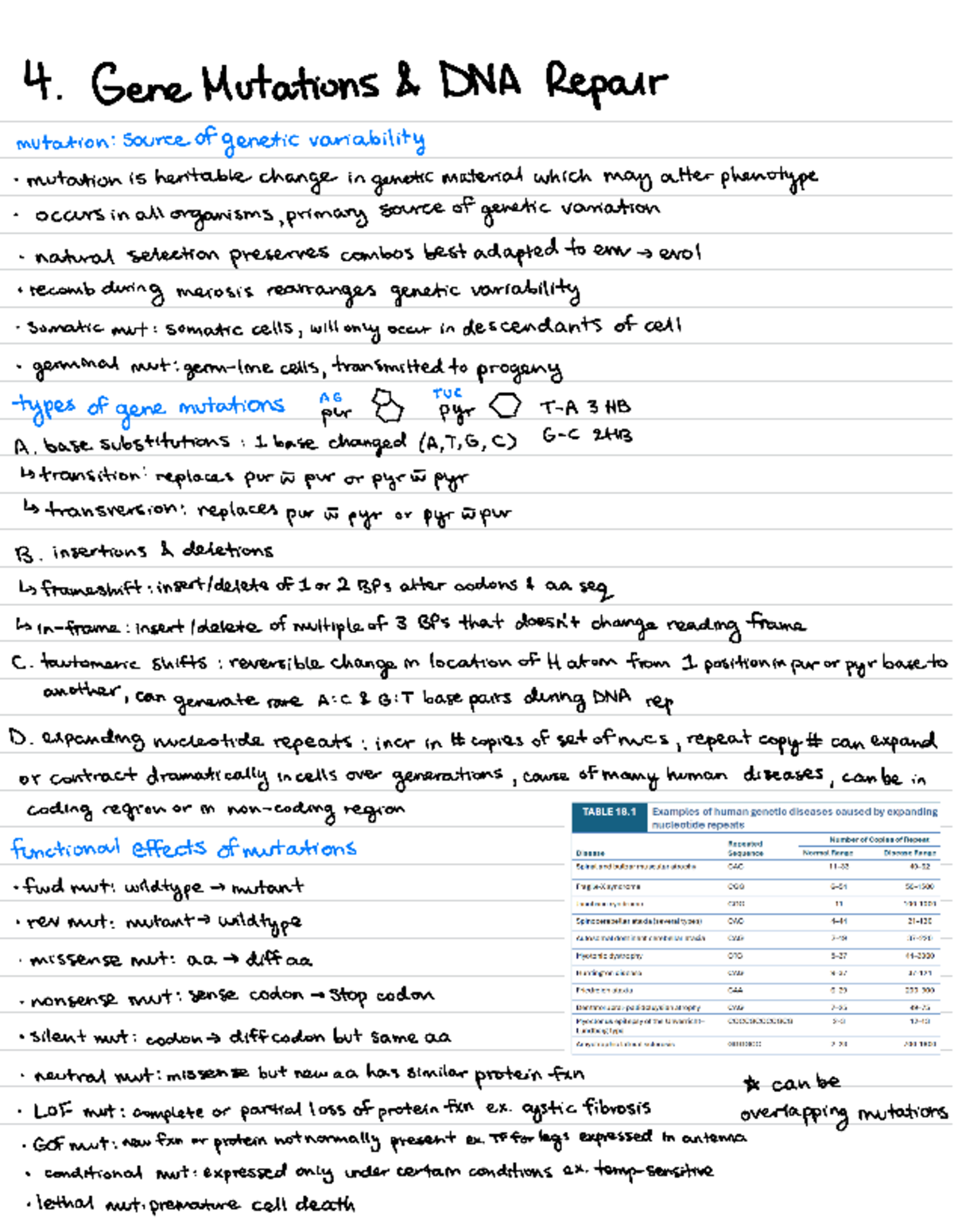 MBG 2040 - Final Exam Notes - pt 2 - 4. Gene Mutations DNA Repair ...