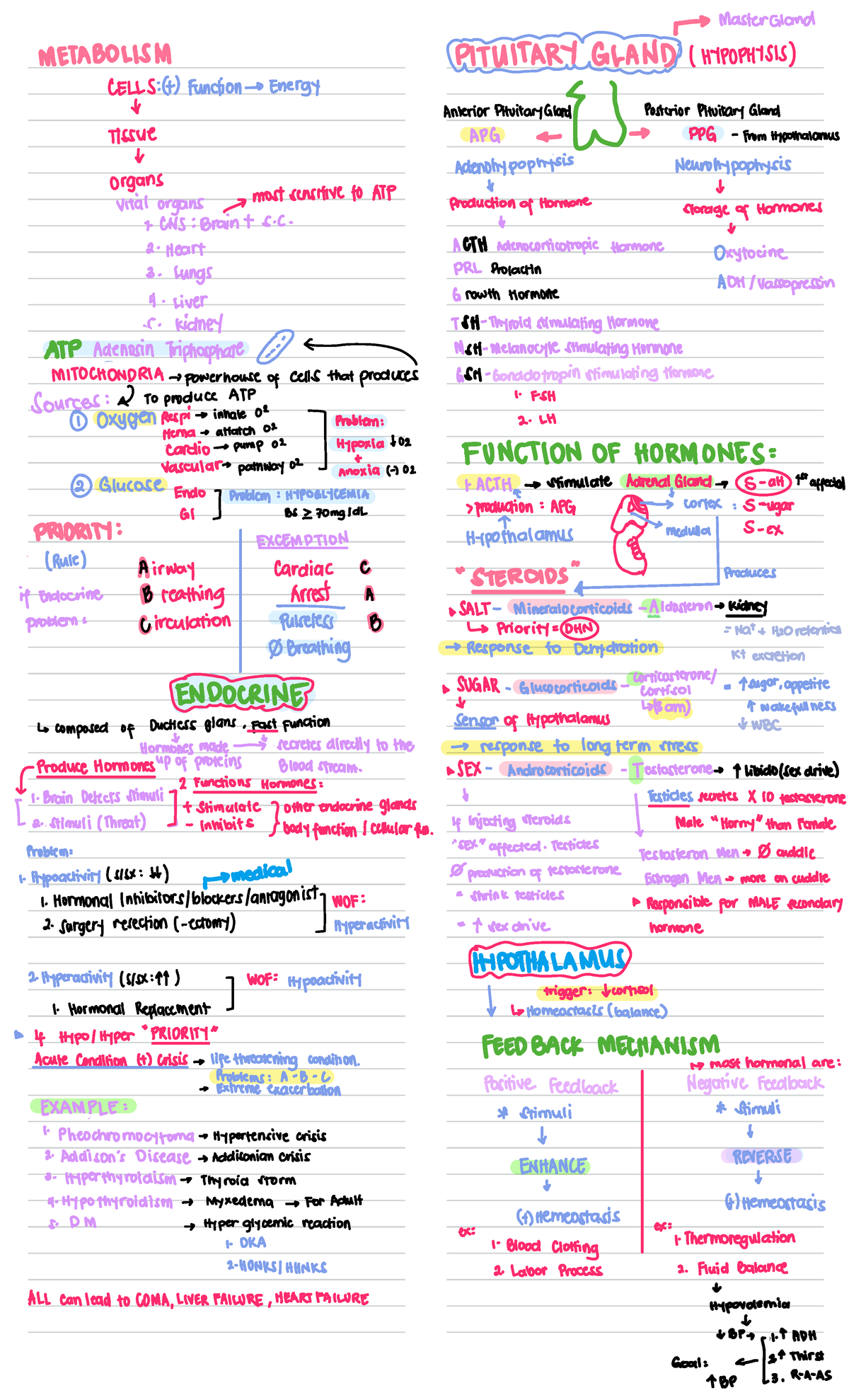 MS2 ENDO - Pituitary Gland Metabolism and Hormonal Functions - Studocu