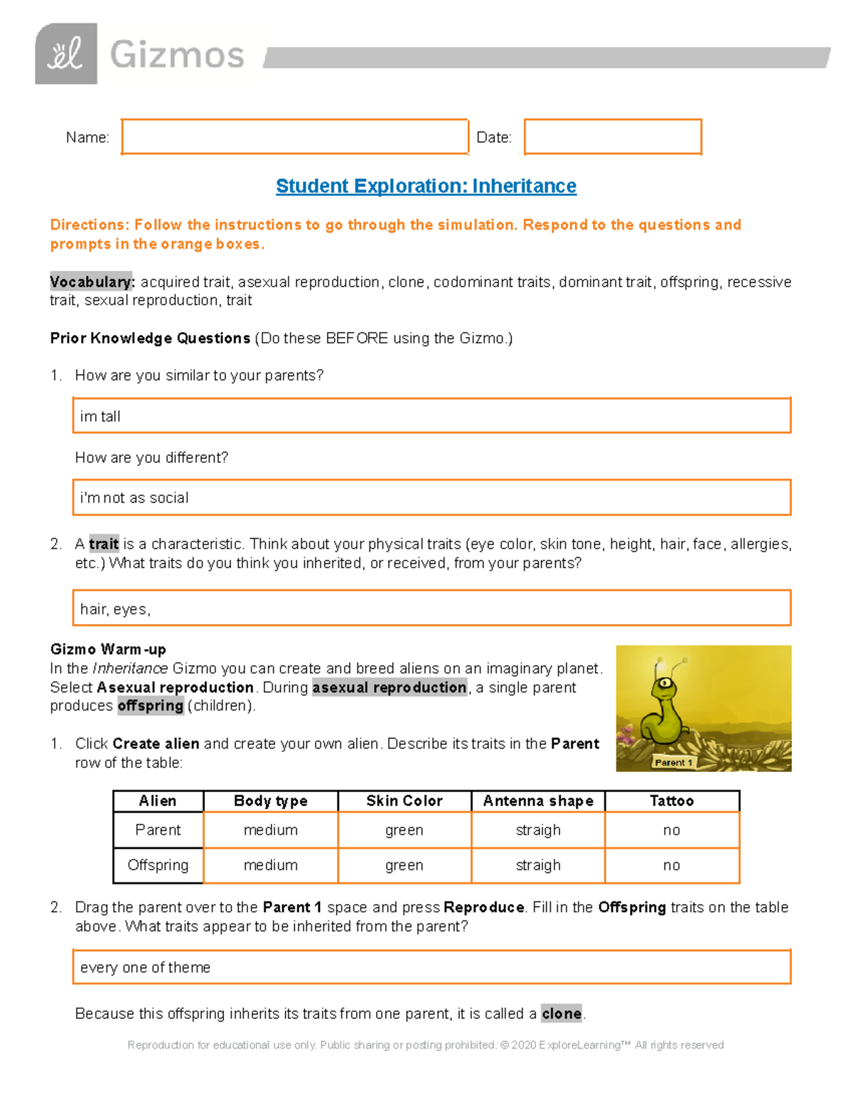 Inheritance Gizmo Exploration: Understanding Traits and Offspring - Studocu