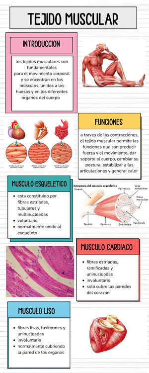 Tarea Sem 01- Introducción A LA Estructura Y Función DEL Cuerpo Humano - “AÑO DEL ...