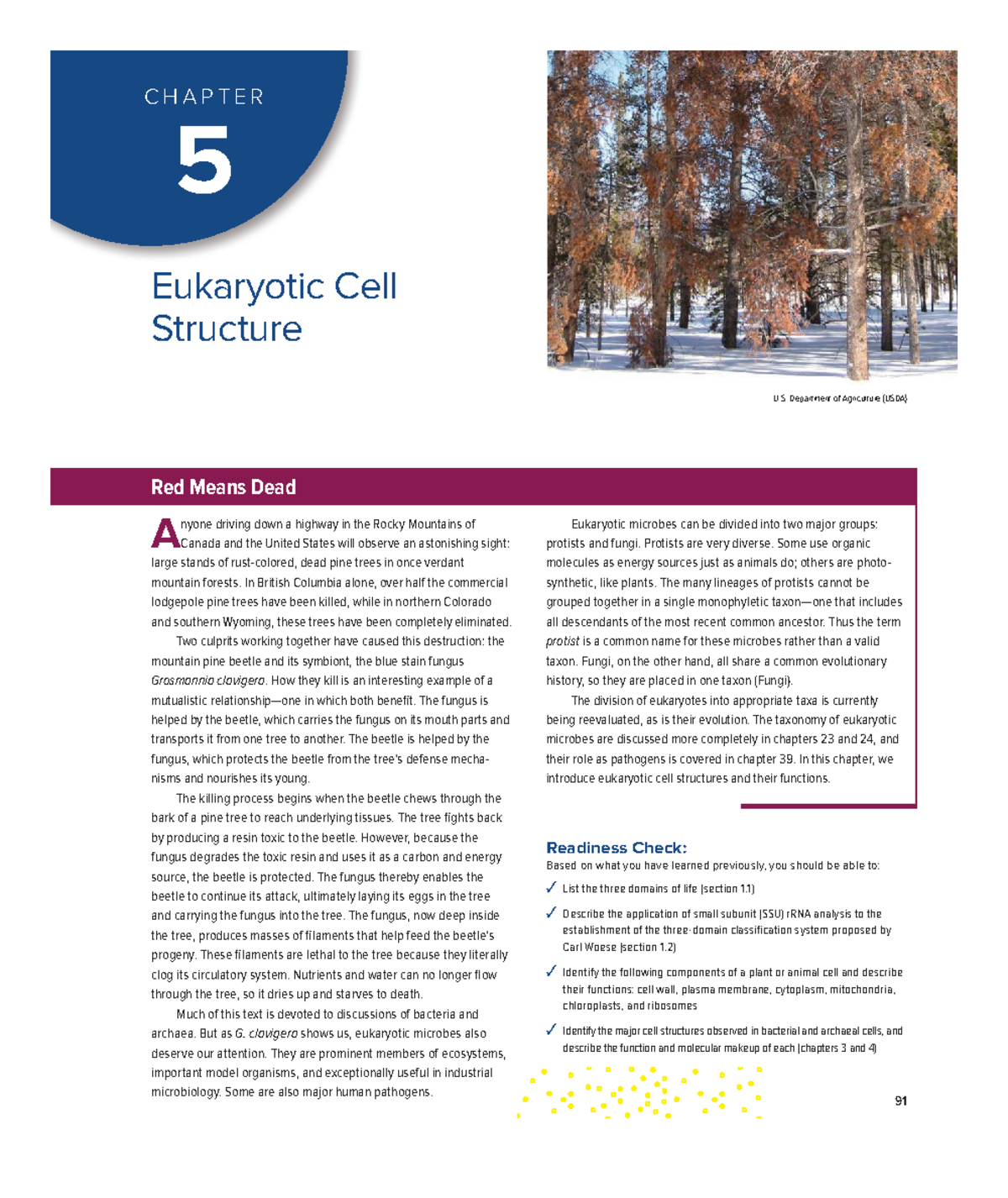CHAPTER 5: Eukaryotic Cell Structure and Function in Microbiology - Studocu