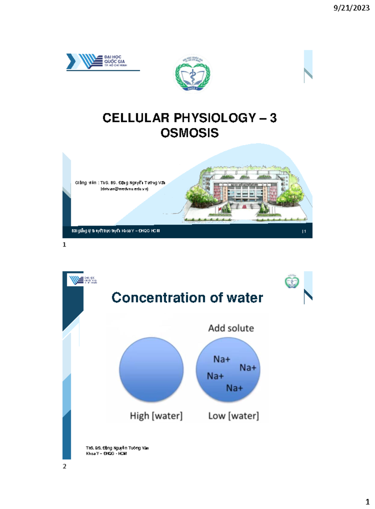 Cellular Physiology 3: Solute & Water Transport Lecture Notes - Studocu