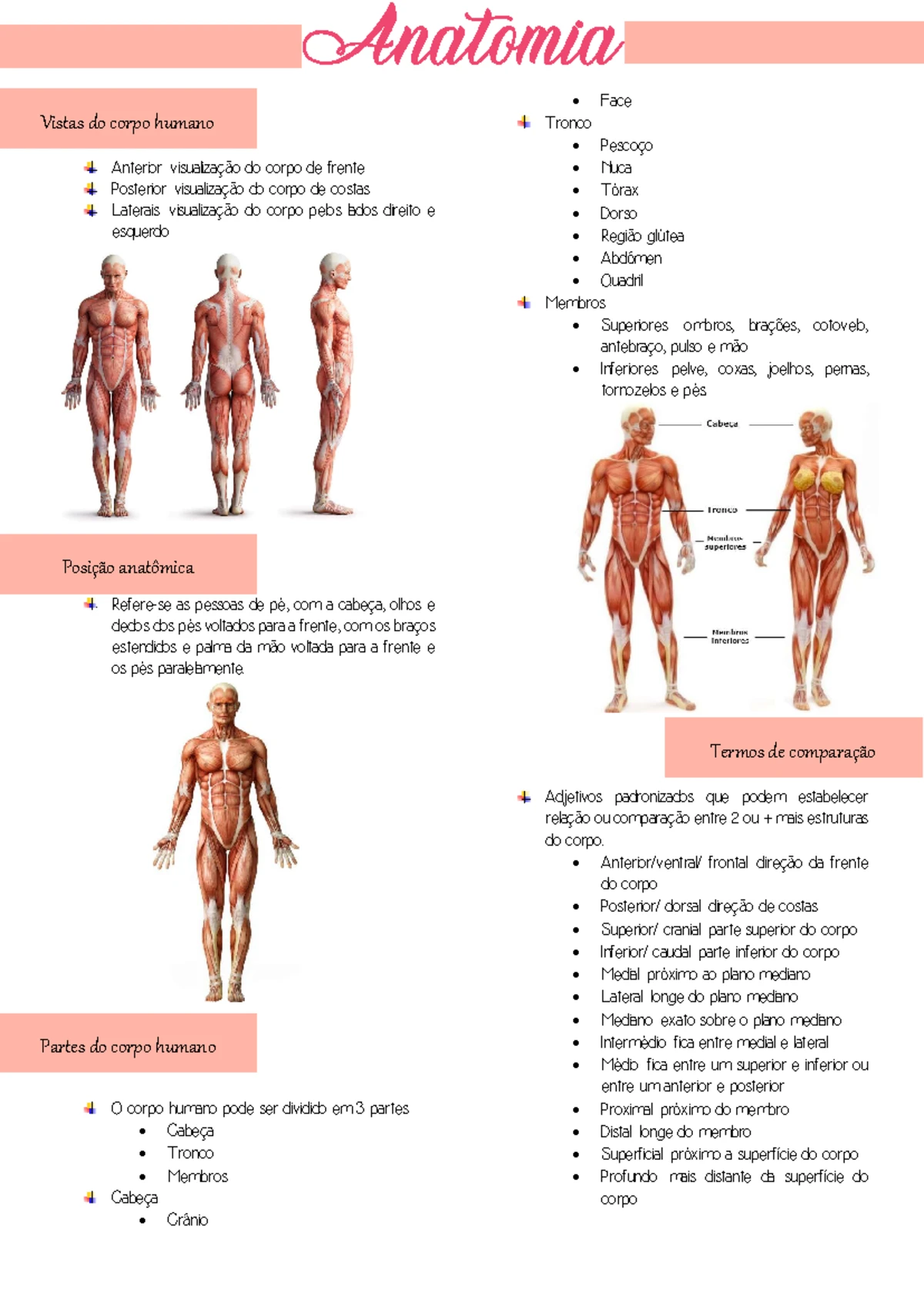 Anatomia 1 - RELATÓRIO DE AULAS PRÁTICAS - EaD DATA: //______ VERSÃO: RELATÓRIO DE AULAS ...