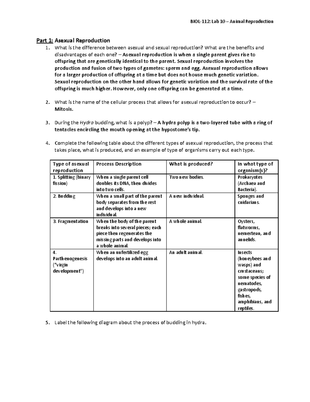 Lab 10 Activtiy Worksheet Animal Reproduction - Part 1: Asexual ...