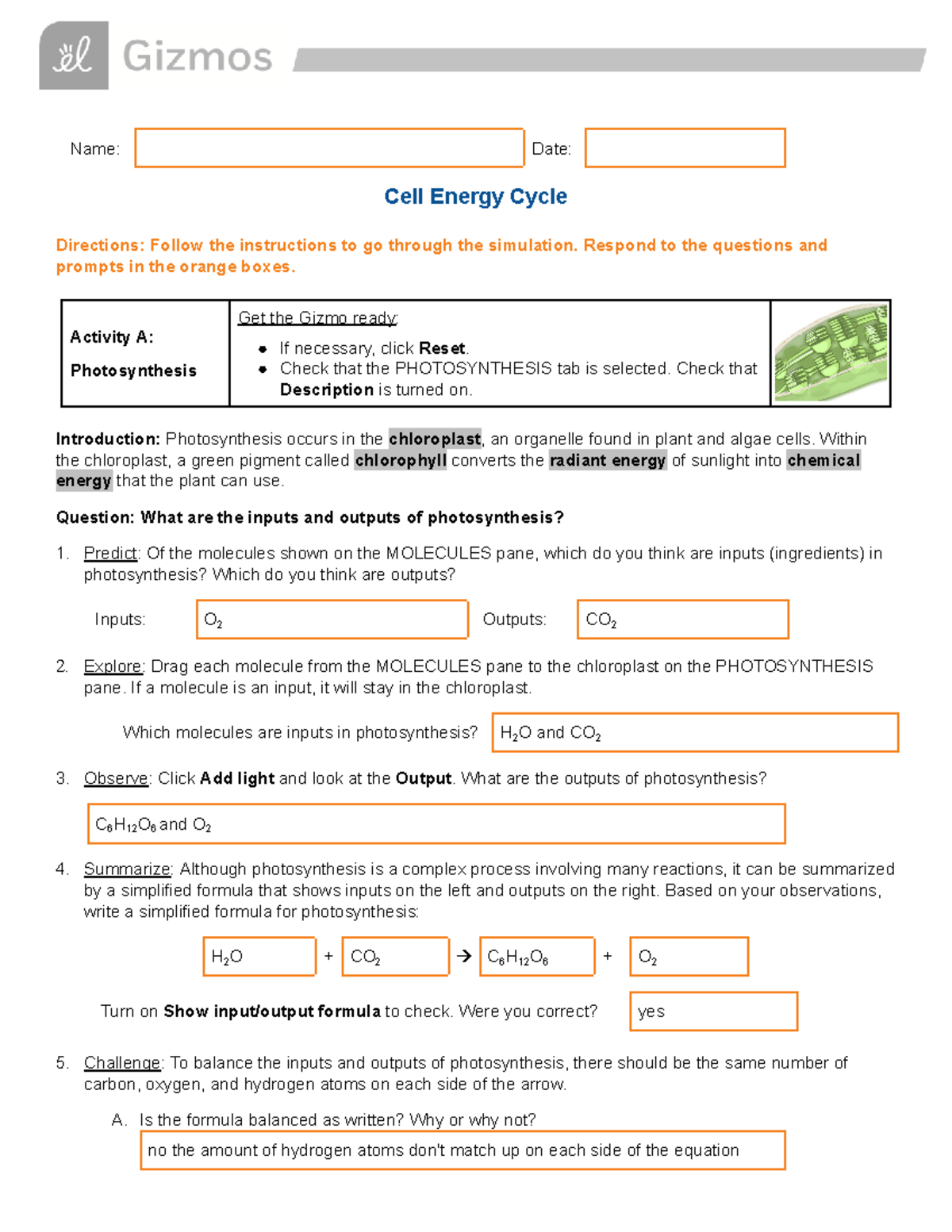 Gizmo Cell Energy Cycle Study Guide - 9964504 - Studocu