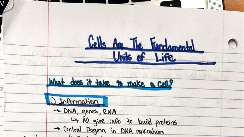 Molecular and Cellular Biology: The Fundamentals of Life - Studocu