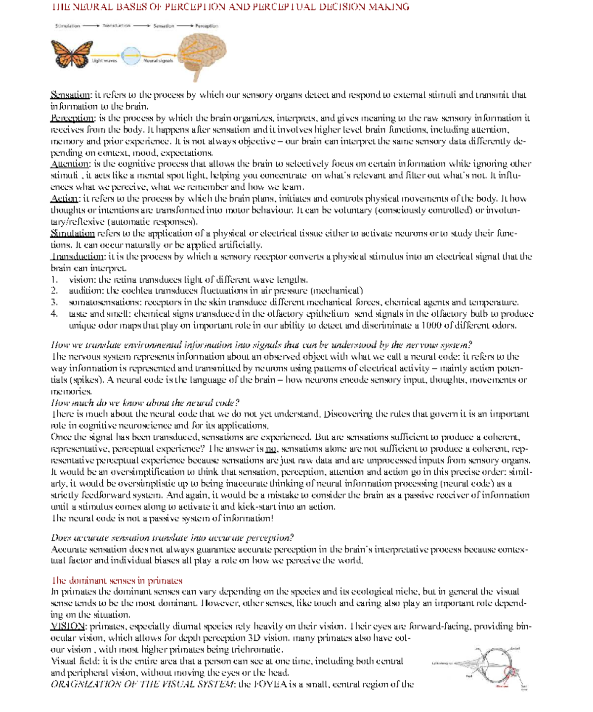 Neural Bases of Perception & Decision Making: Insights from Cognitive ...