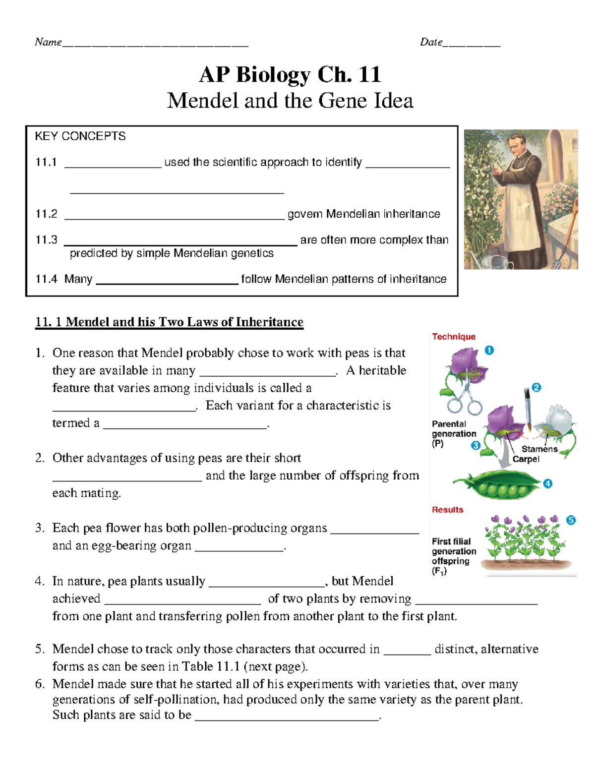 AP BIOL CH 11: Mendelian Genetics & Answer Key for Exam Prep - Studocu