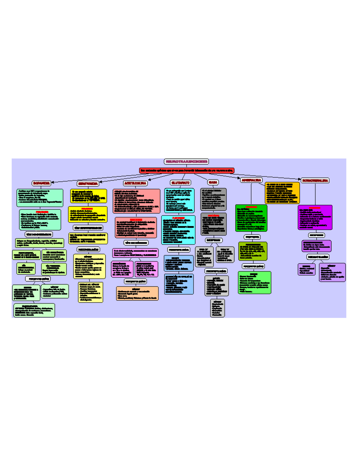 MAPA Conceptual Neurotransmisores - Neurofisiologia - Studocu