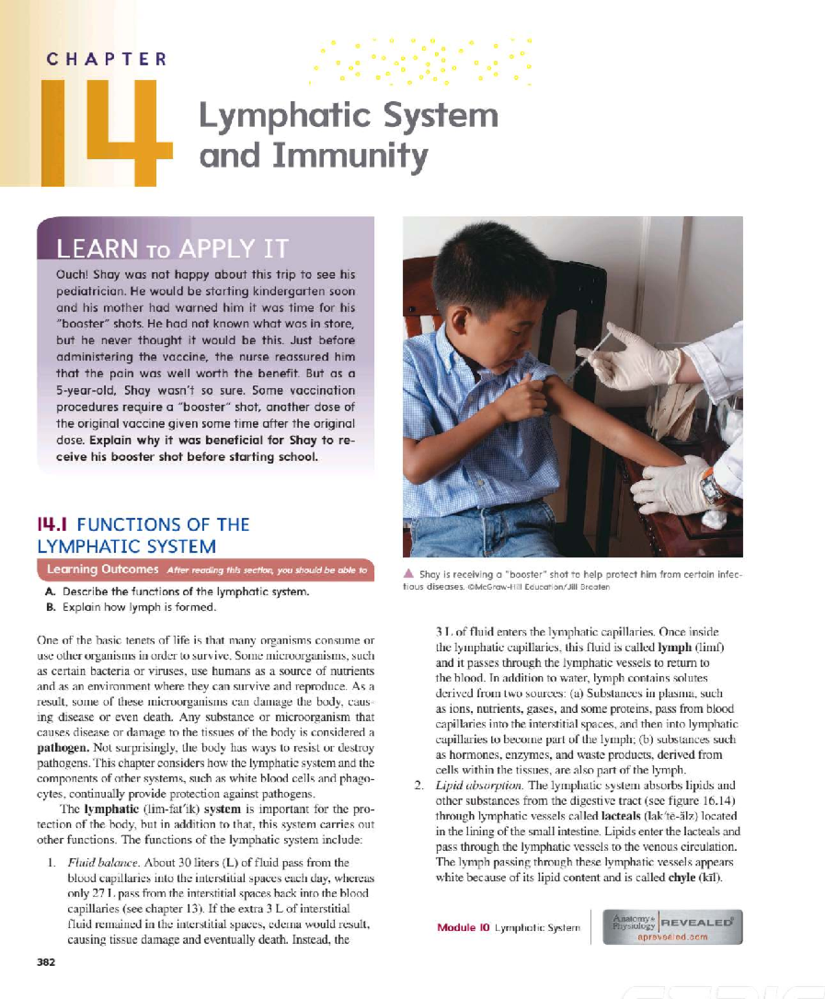 Lymphatic System and Immunity: Functions and Anatomy - Studocu