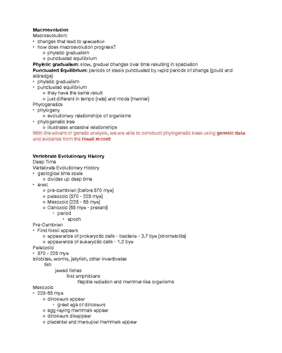 Human Evolution and Bipedalism: The Path from Australopithecus to Homo ...