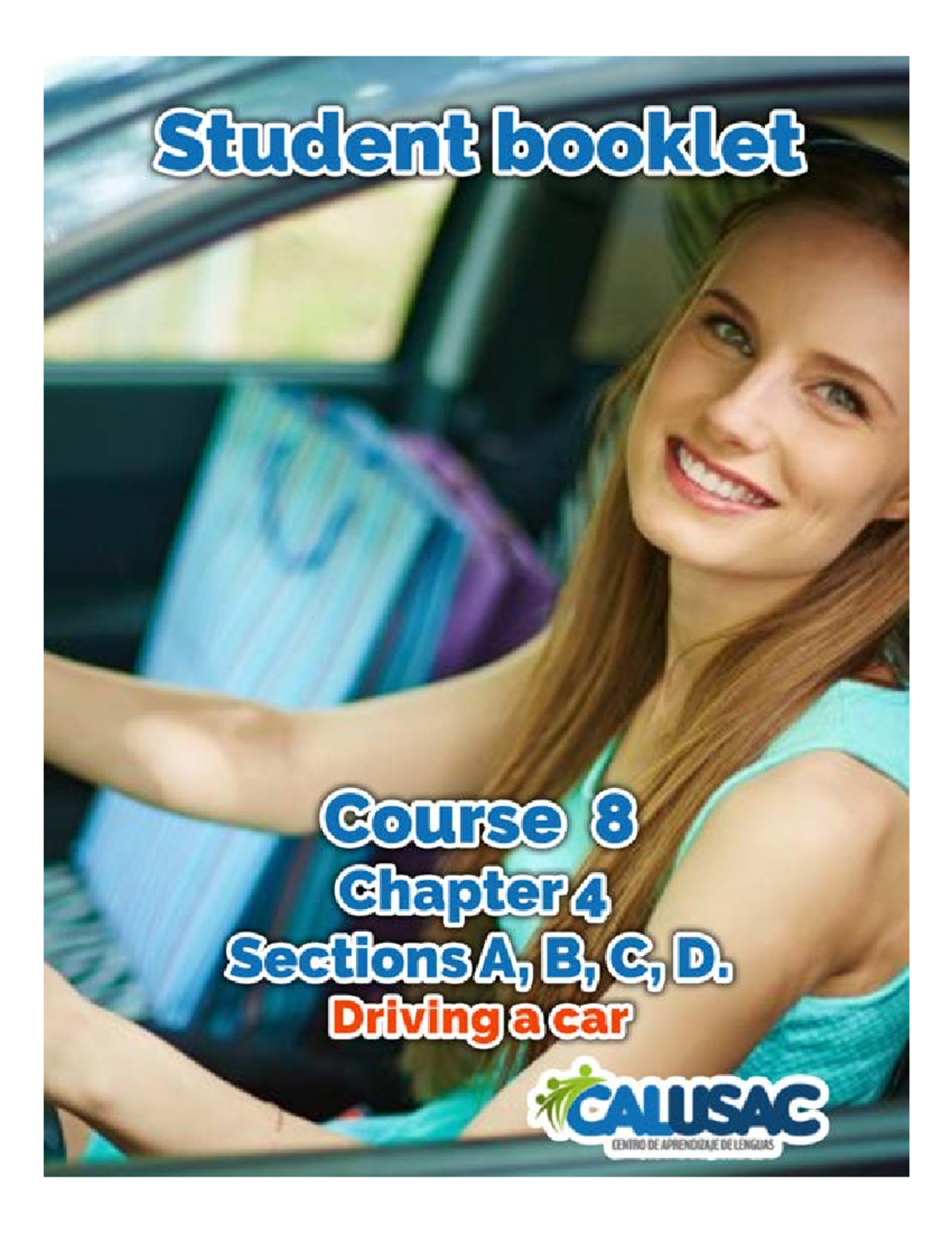 Chapter 4 - Car Accidents and Driving Responsibilities (Course 8) - Studocu