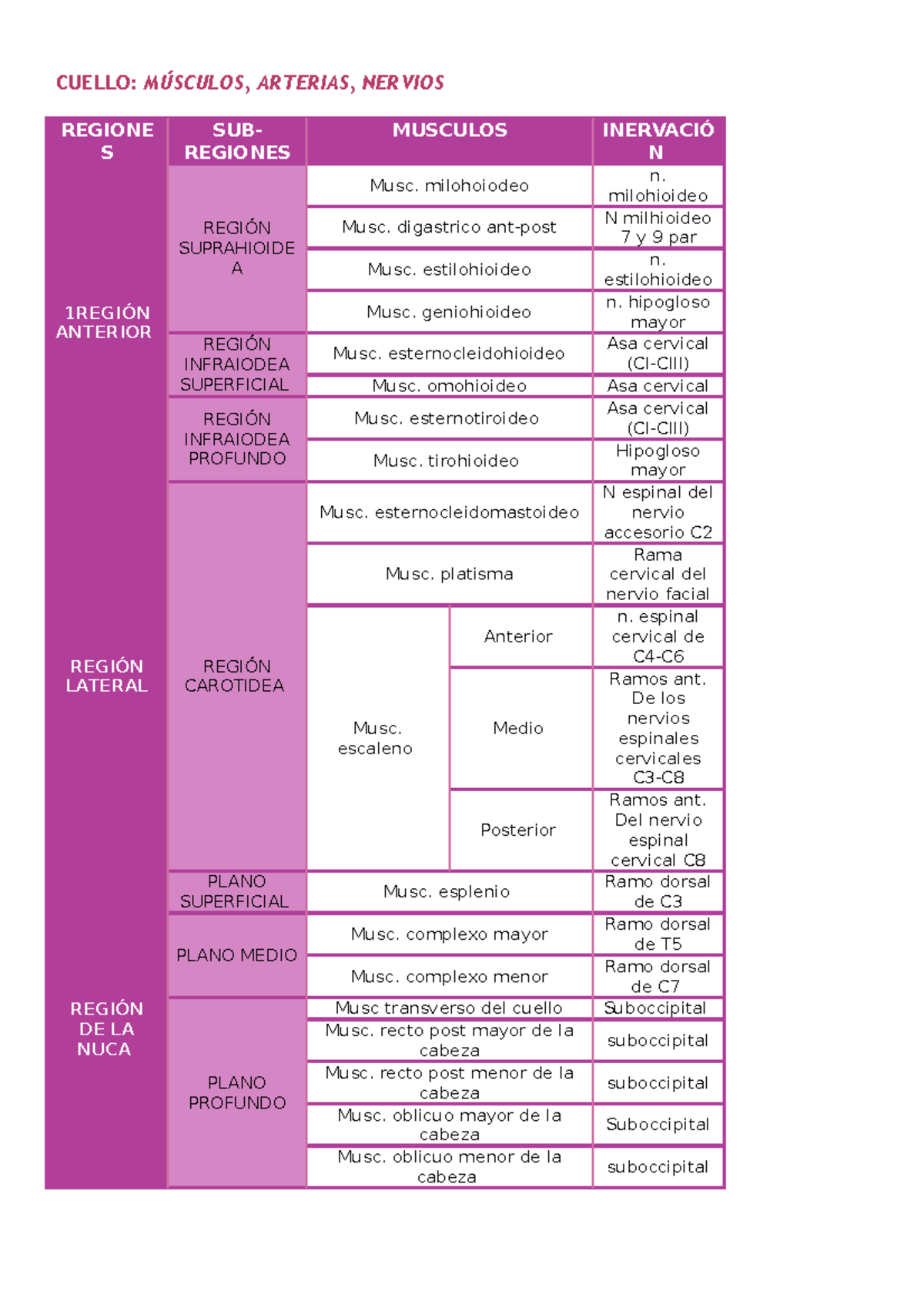 NUCA - Anatomía - CUELLO: MÚSCULOS, ARTERIAS, NERVIOS REGIONE S SUB ...
