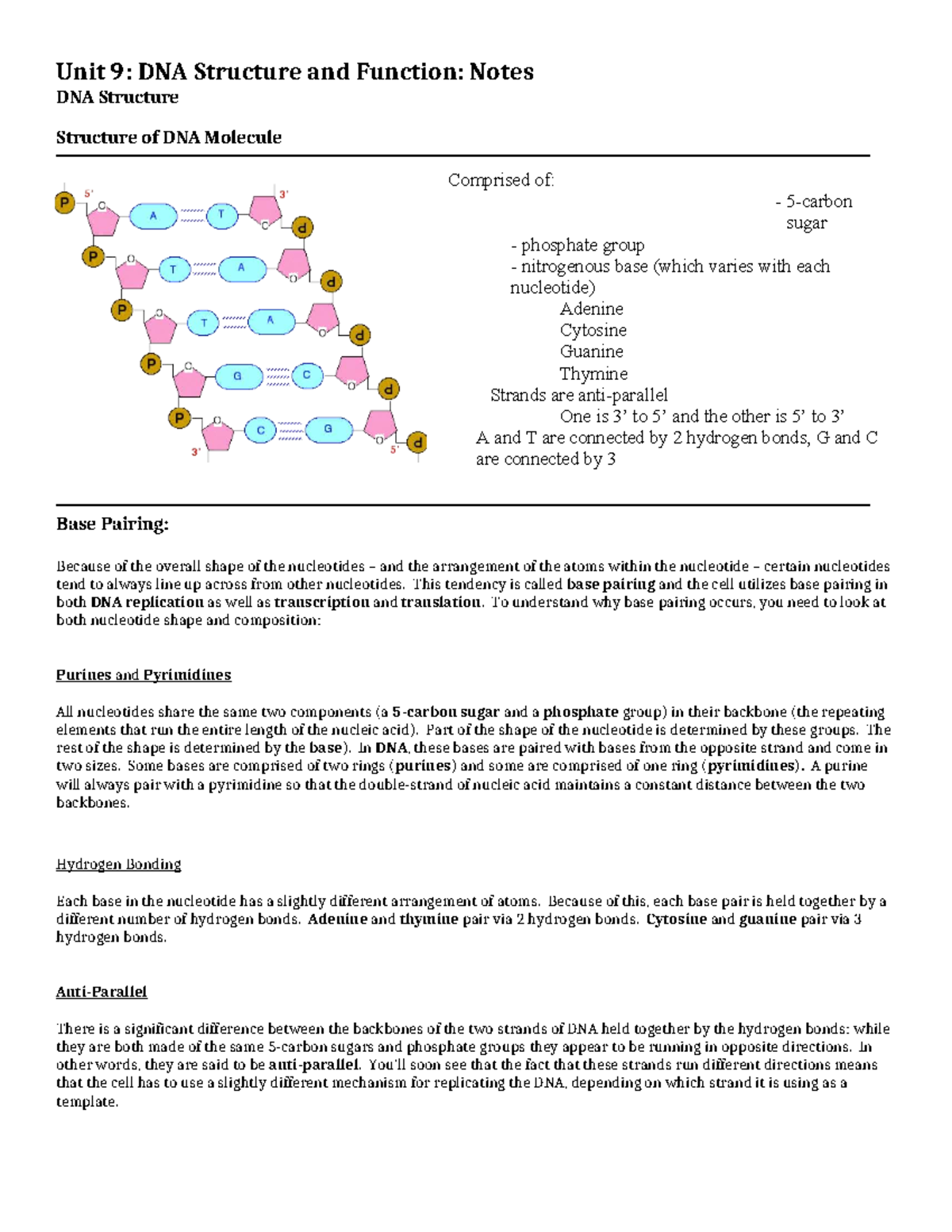 Unit 9: DNA Structure & Function Notes for Biology Course - Studocu