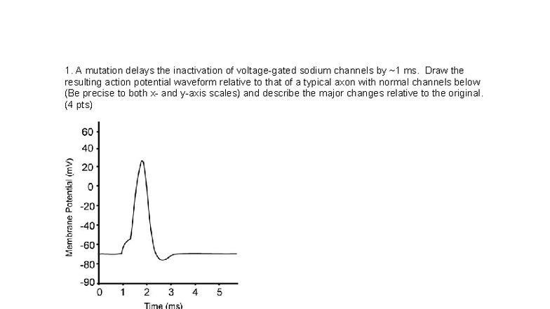 NS I Exam 1 2019 - Action Potentials and Ion Channels Practice Exam ...
