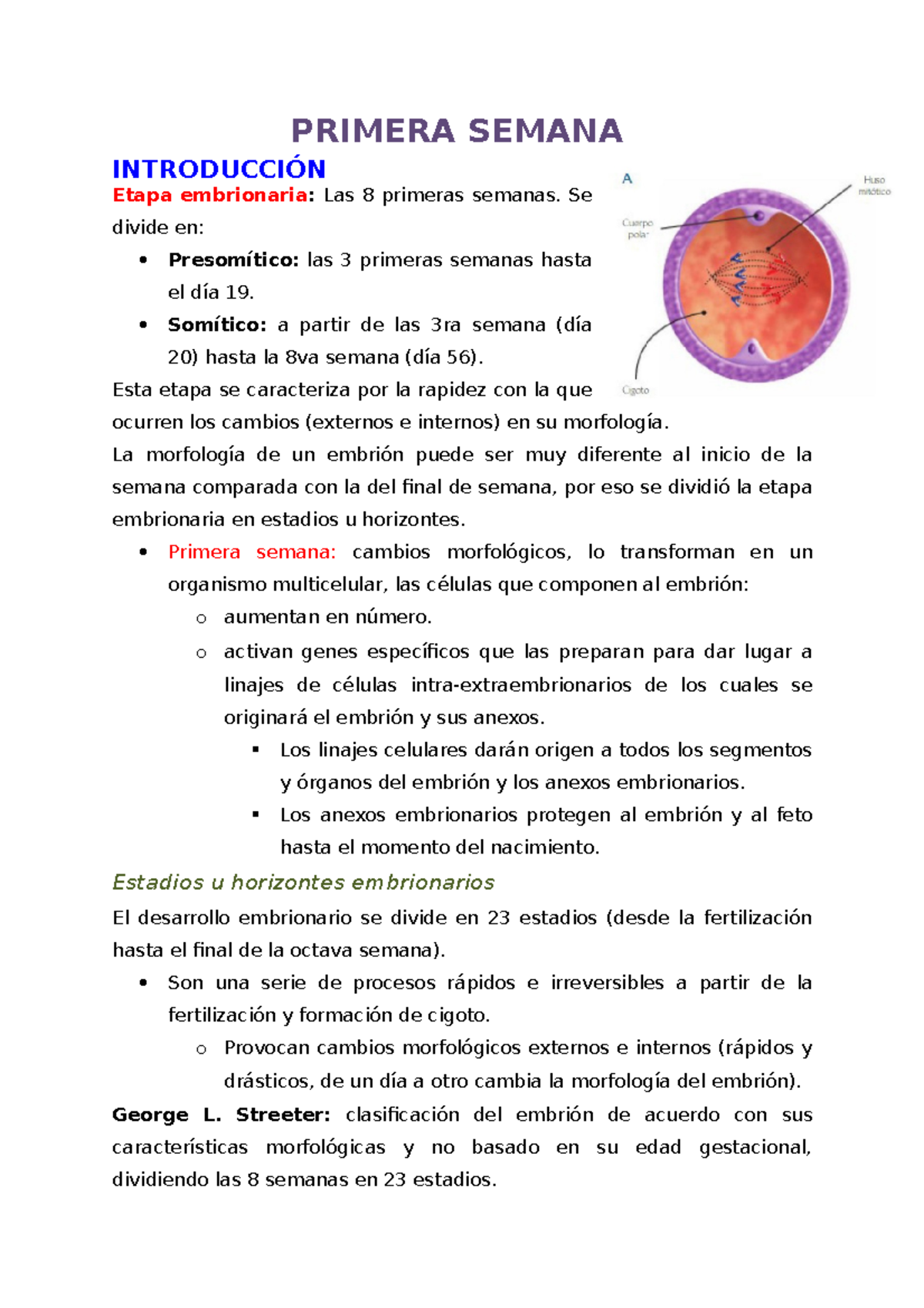 Primera Semana - Resumen del libro de Embriología Humana de Arteaga 3ra edición. - PRIMERA ...