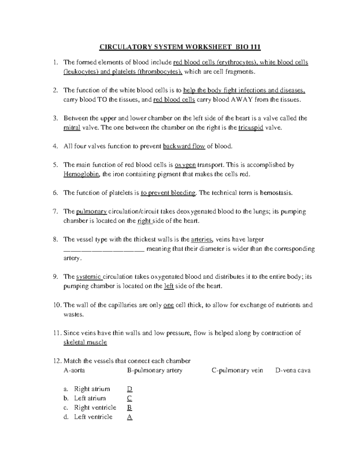 Circulatory System Worksheet BIO 111 - CIRCULATORY SYSTEM WORKSHEET BIO ...