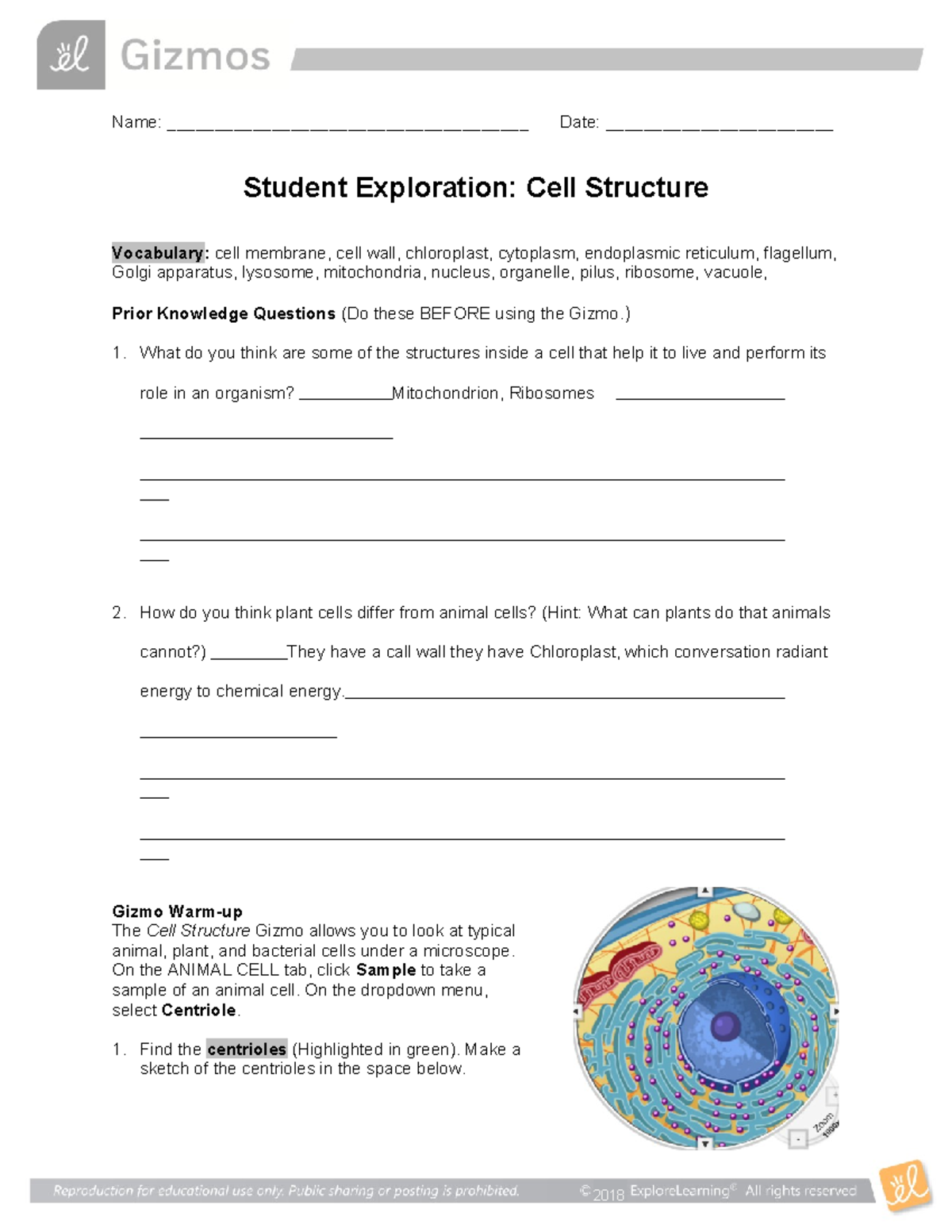 Cell Structure Gizmo-1 - Name ...