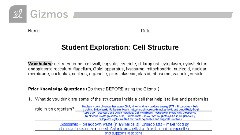Cell Structure SE: Vocabulary & Functions of Organelles - Studocu