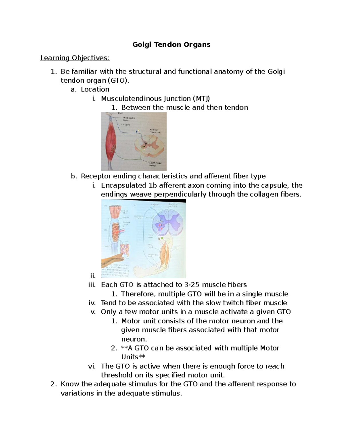 Golgi Tendon Organs & Muscle Spindles: Anatomy & Reflex Mechanisms ...