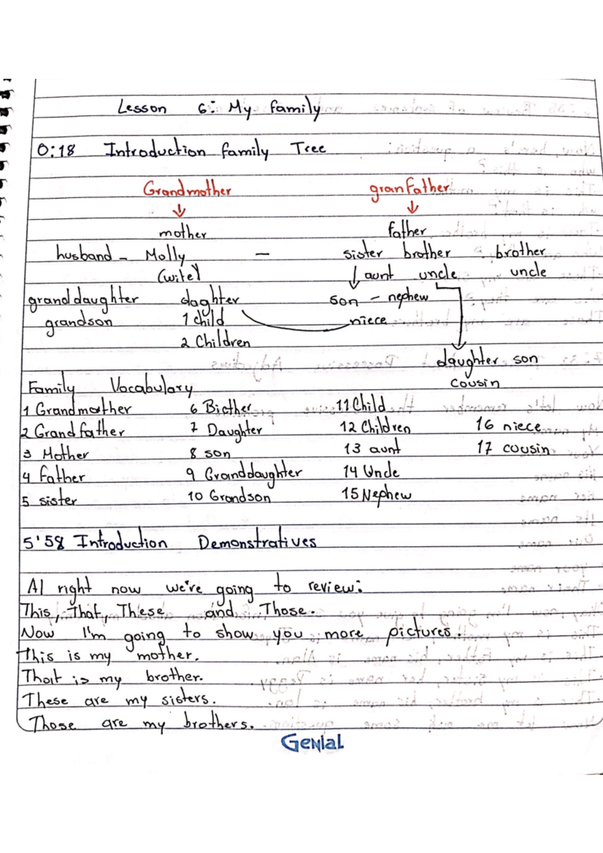 Family Vocabulary and Grammar Review: Lesson 6 (ENG 101) - Studocu